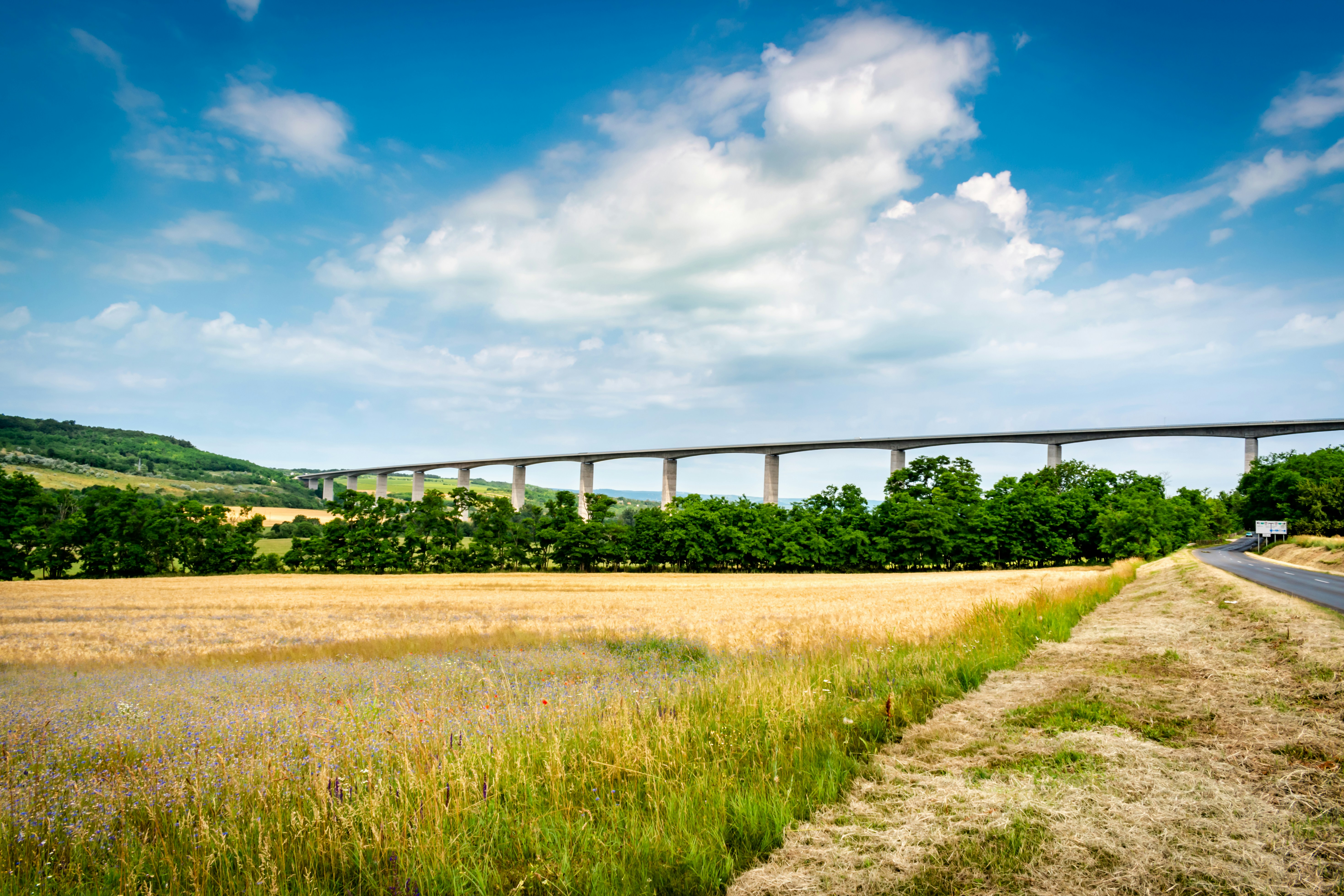 Viaduct Across the Golden Prairie Under a Cerulean Sky