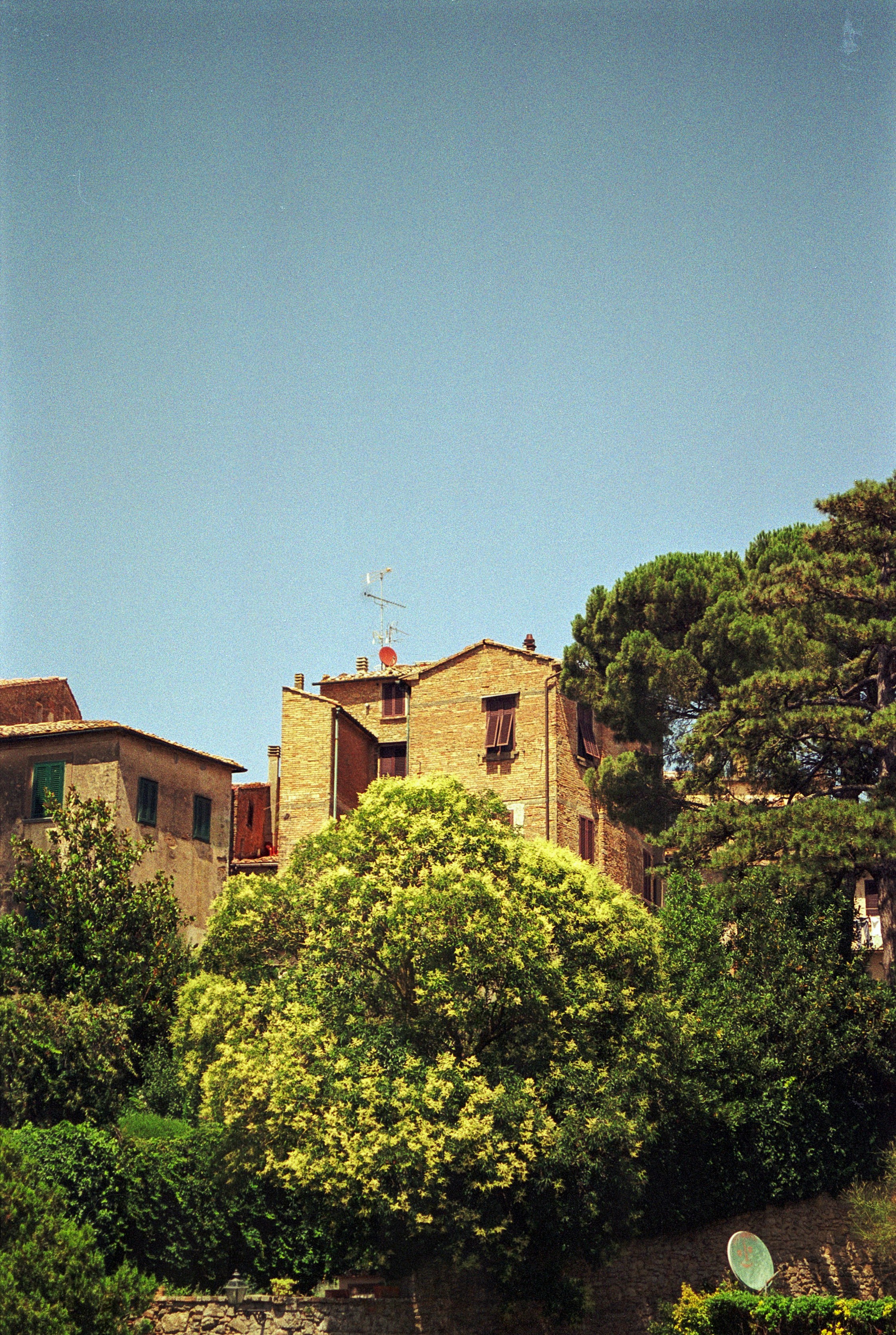 Terracotta Facades Beneath a Canopy of Pines