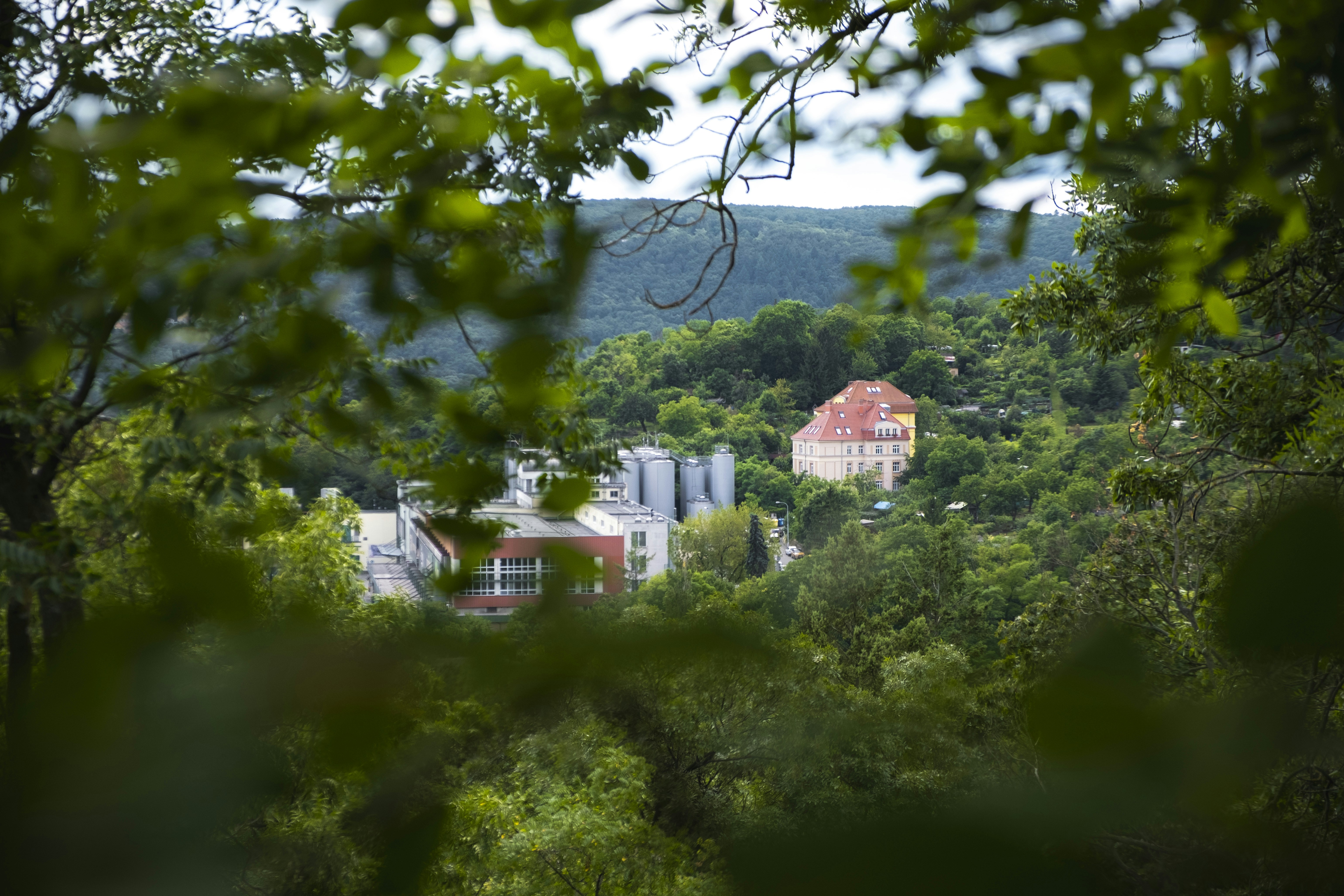 Scenic view of a village nestled among lush green hills, framed by tree branches.