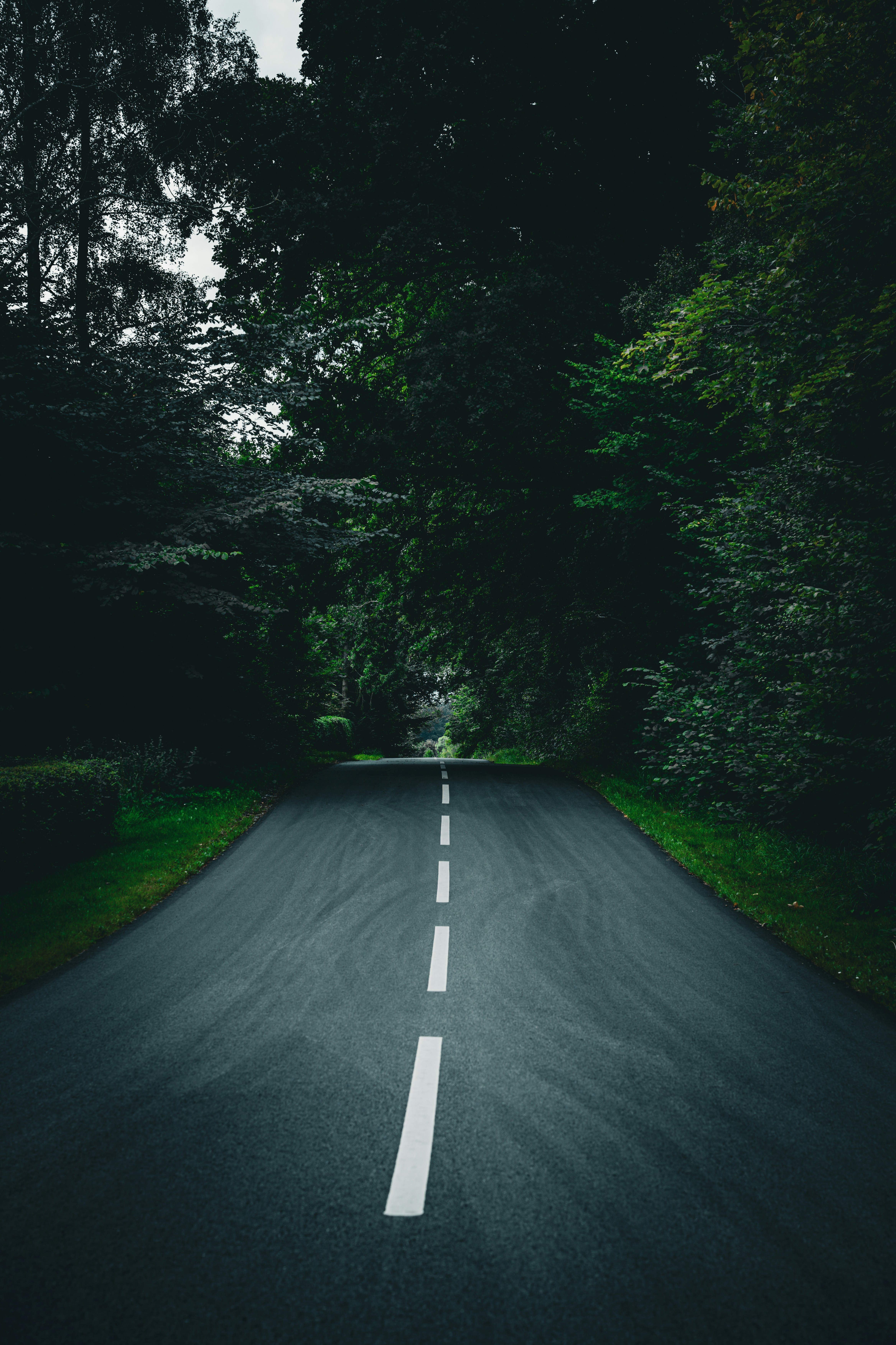 Black Road Pictures | Download Free Images on Unsplash