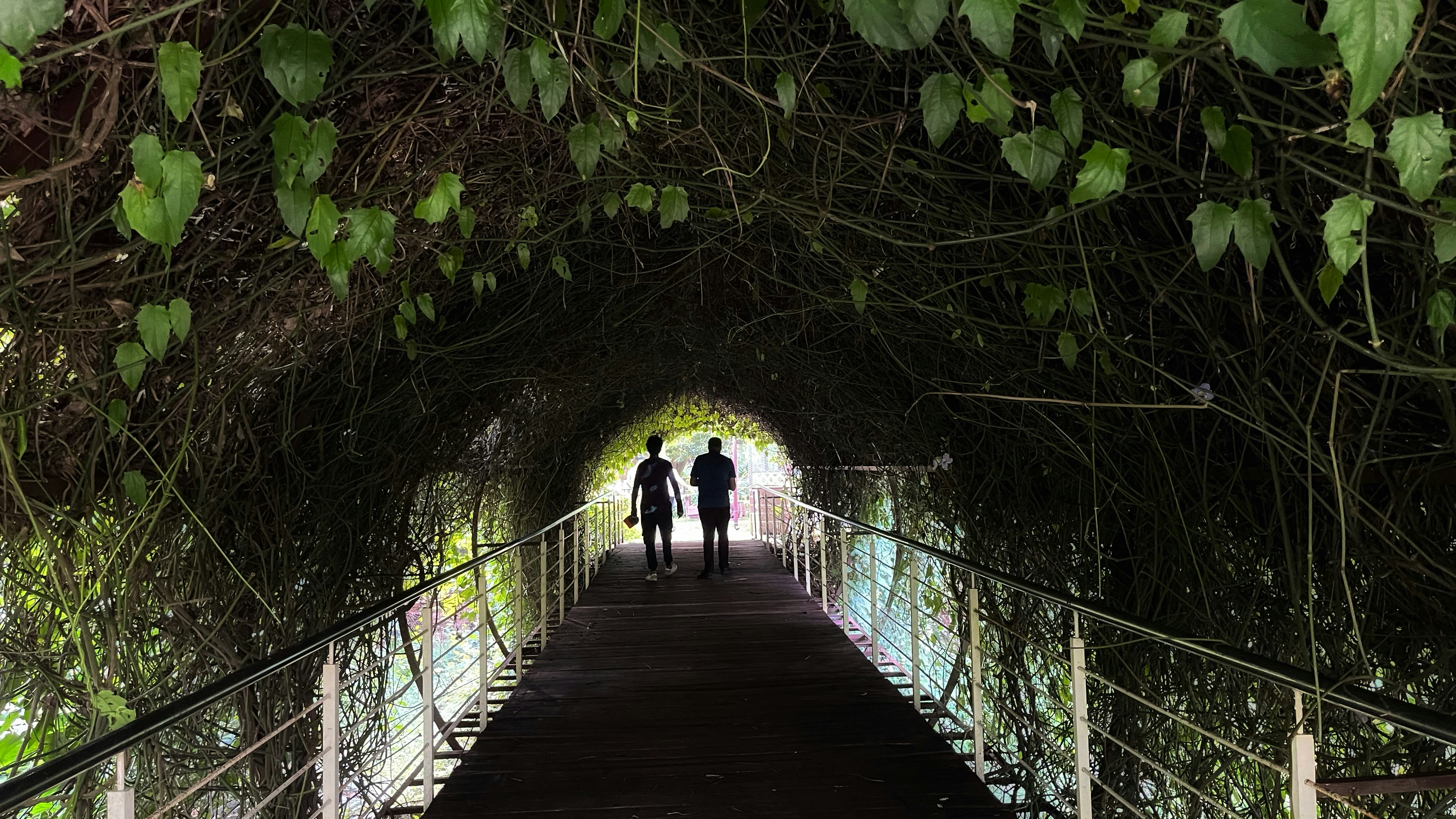a couple of people walking down a wooden walkway