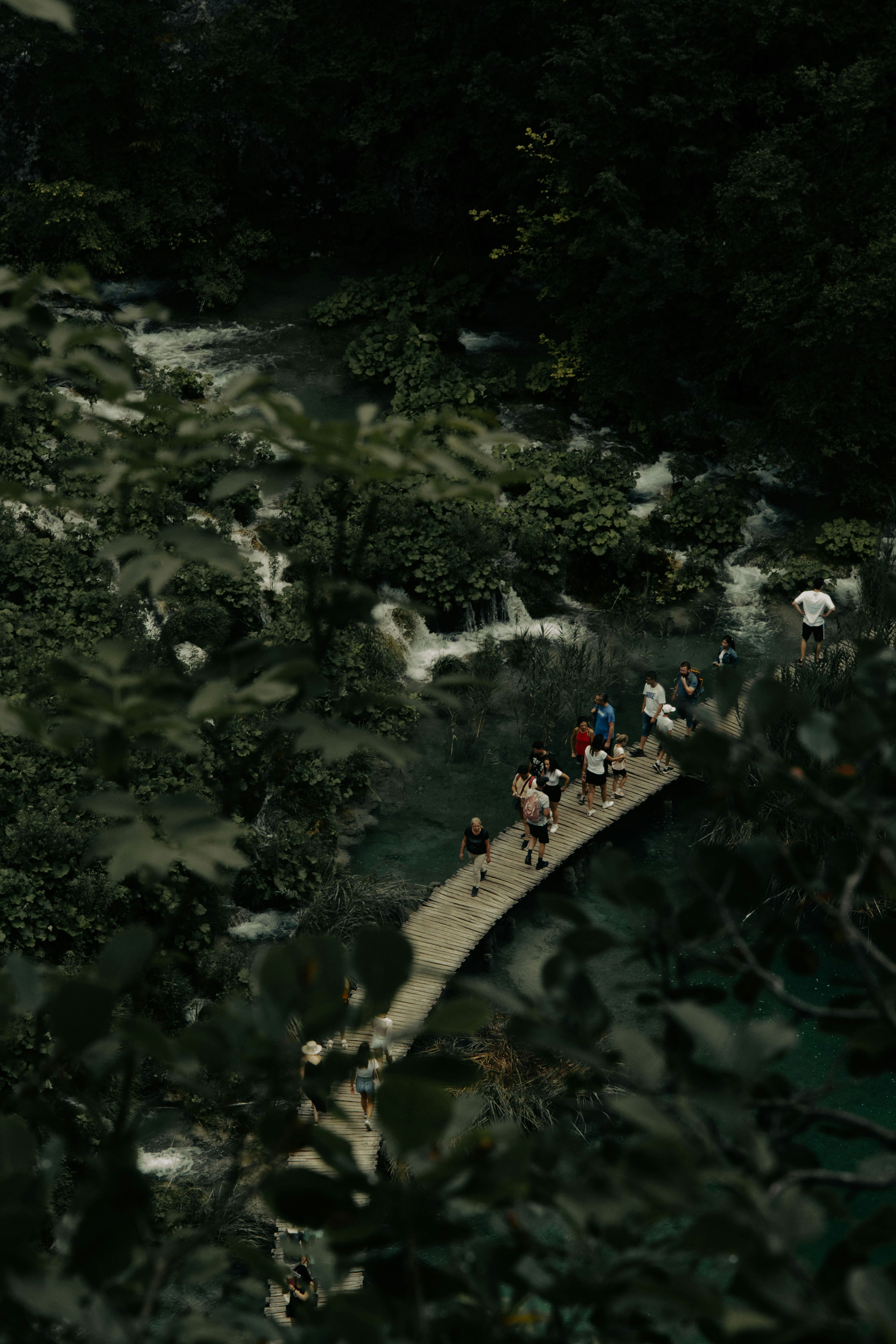 Timber Ribbon Across a Turquoise Gorge