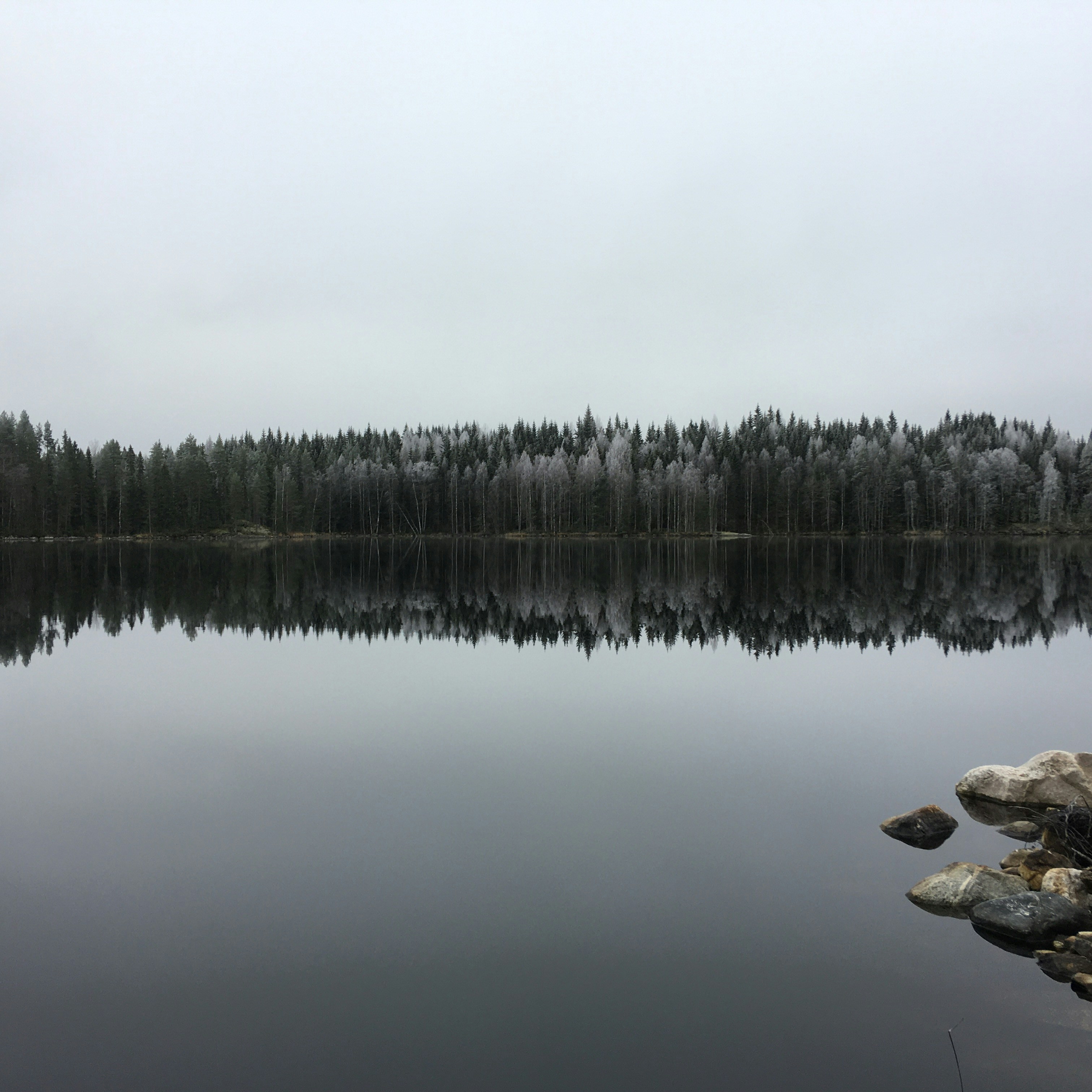 Ulrich Pohl (@up1961) | Unsplash Photo Community