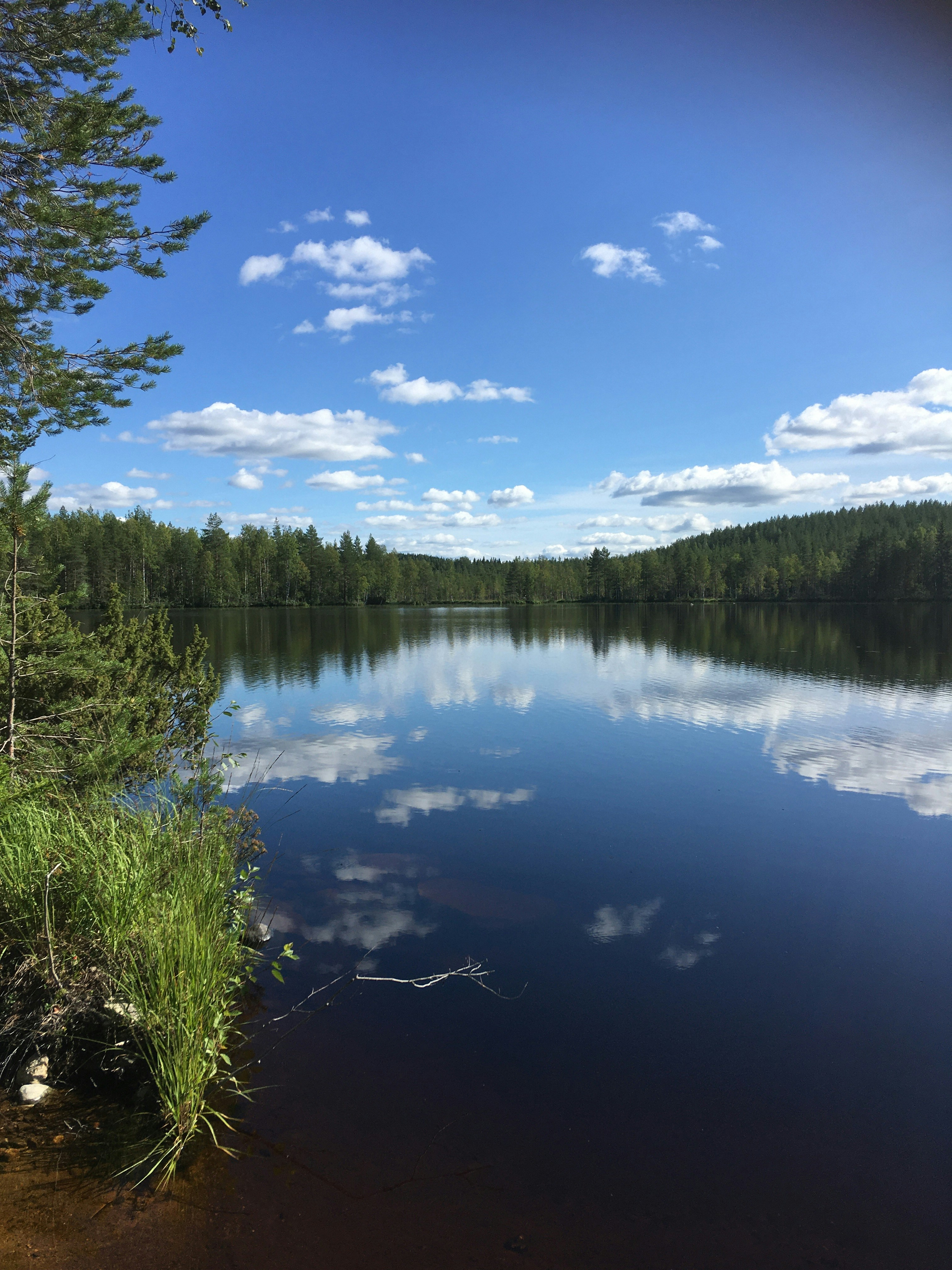 Ulrich Pohl (@up1961) | Unsplash Photo Community