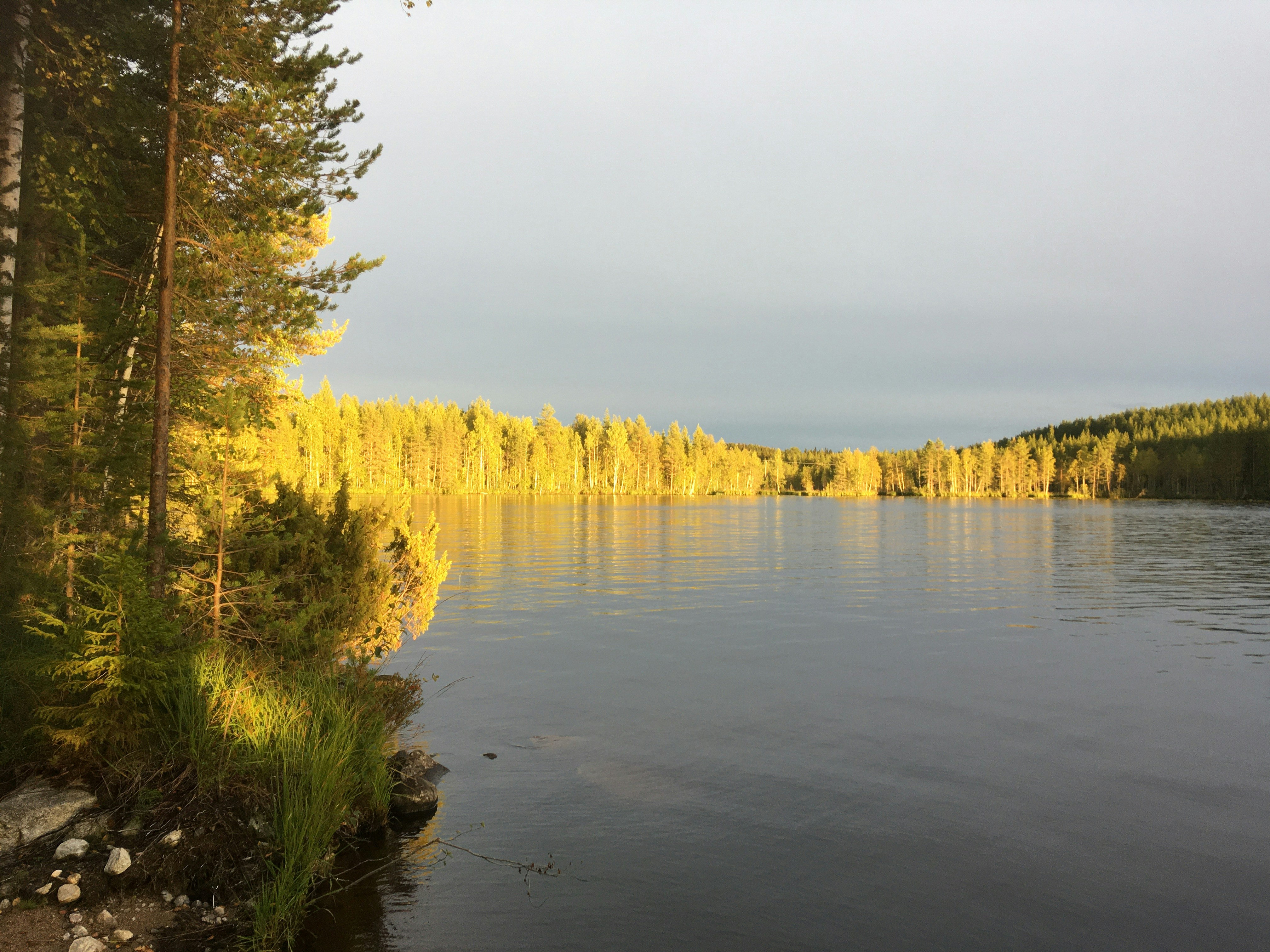 Ulrich Pohl (@up1961) | Unsplash Photo Community