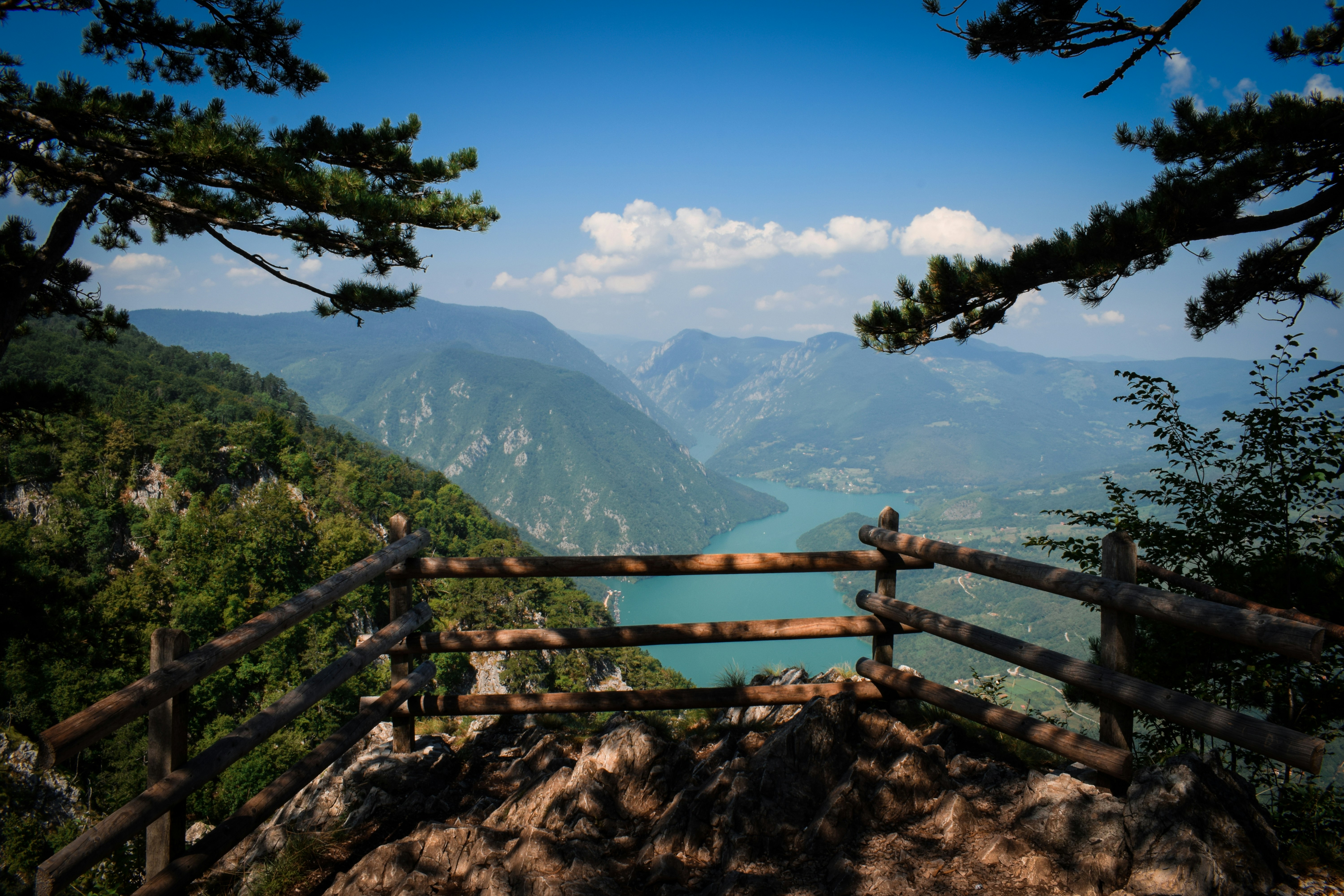 Guarded Overlook: Alpine Valley Unfolding Beyond a Pine-Framed Rim