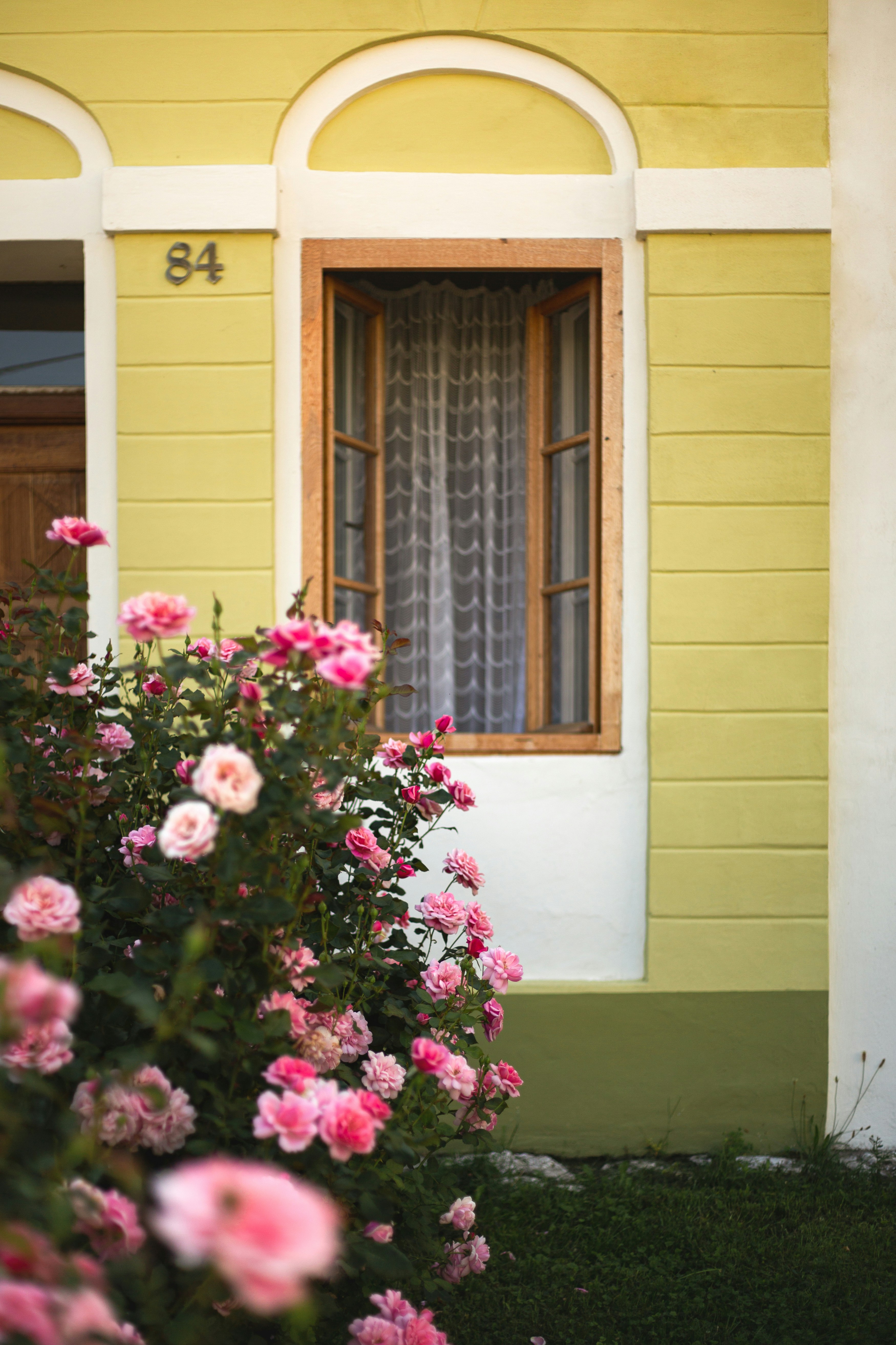 Yellow Facade with Open Window and Pink Roses