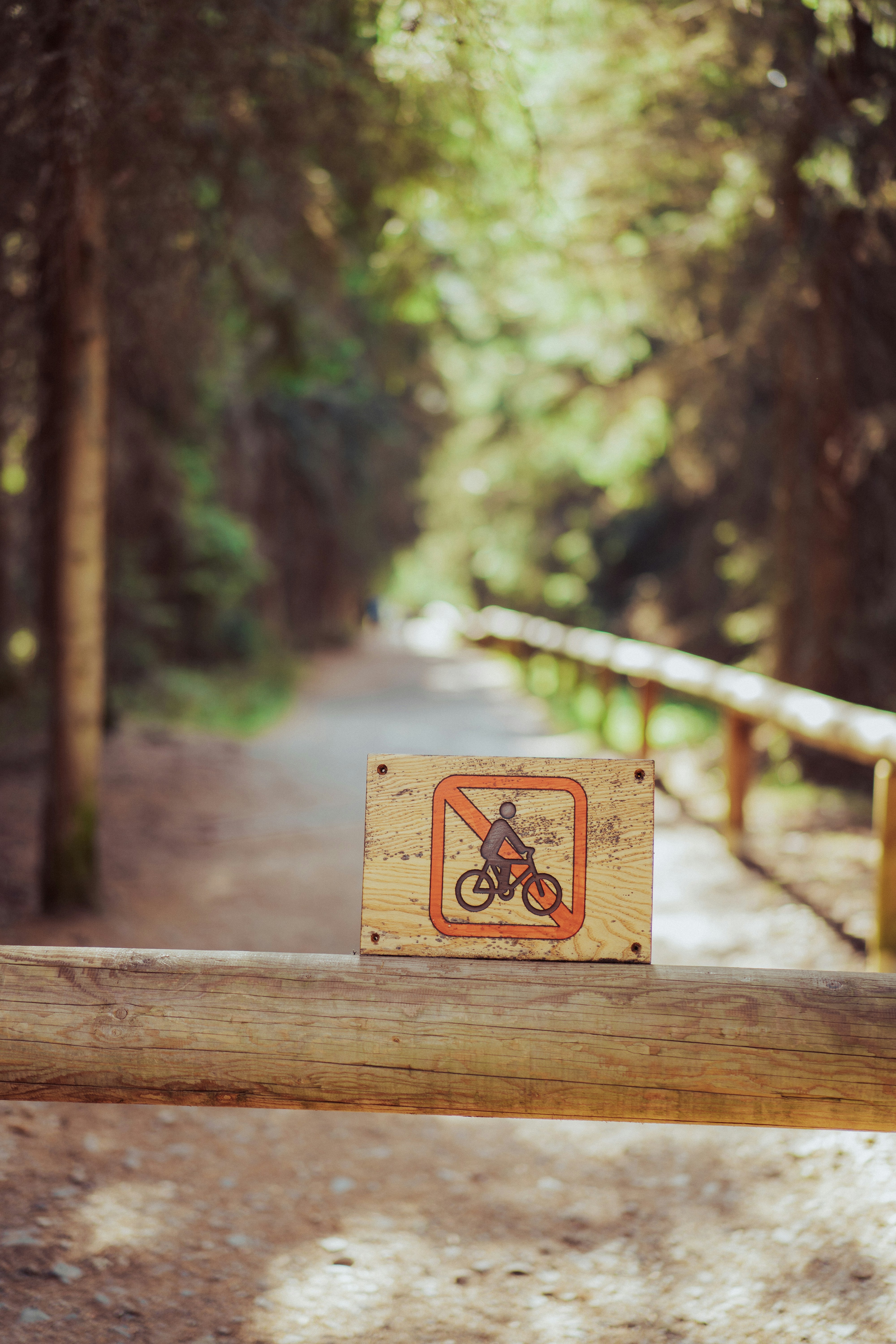 No-Cycling Gate: Quiet Forest Path Framed by Sunlit Pines