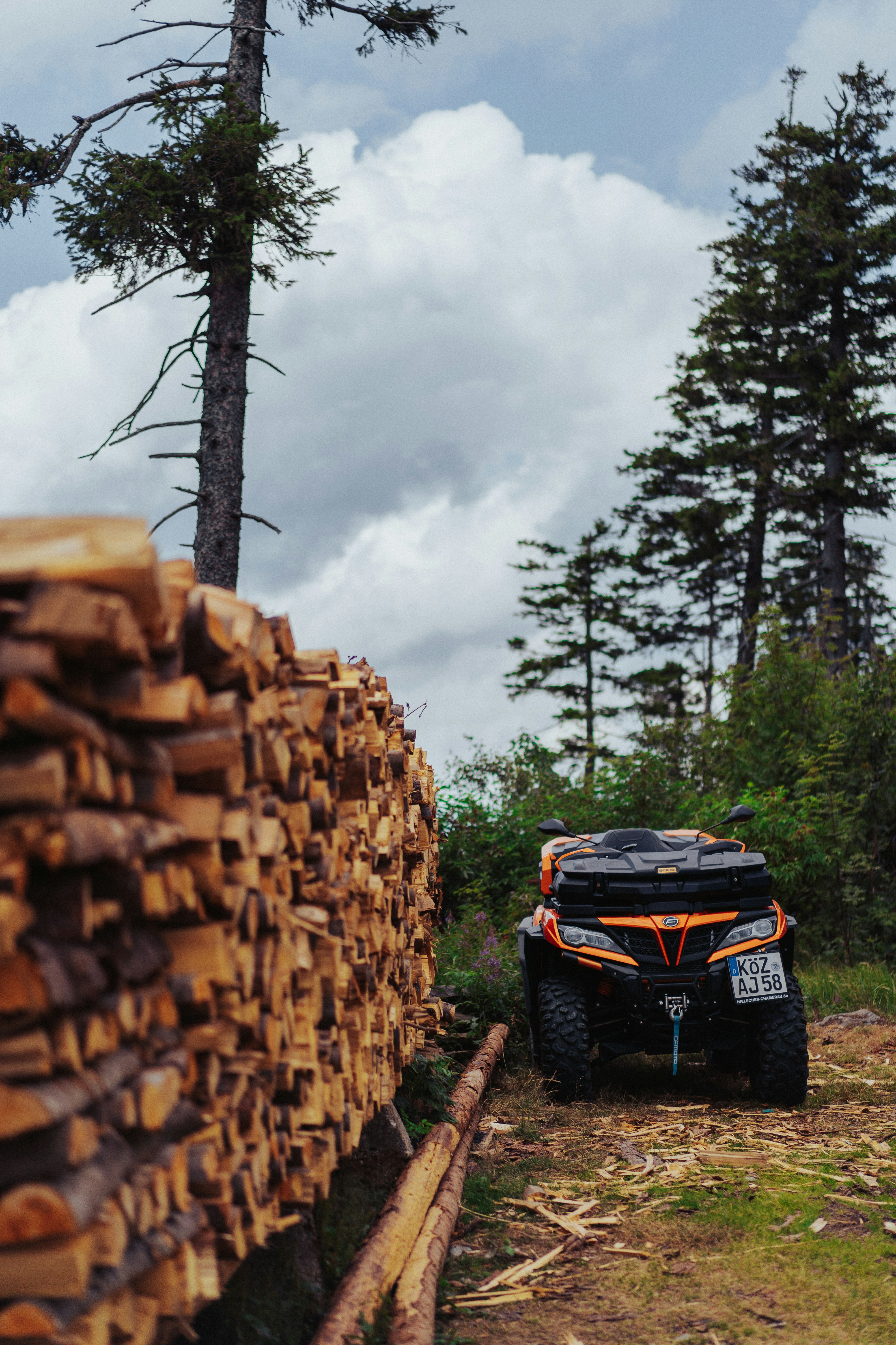 Orange ATV at Forest Edge: Stacked Firewood and rugged path