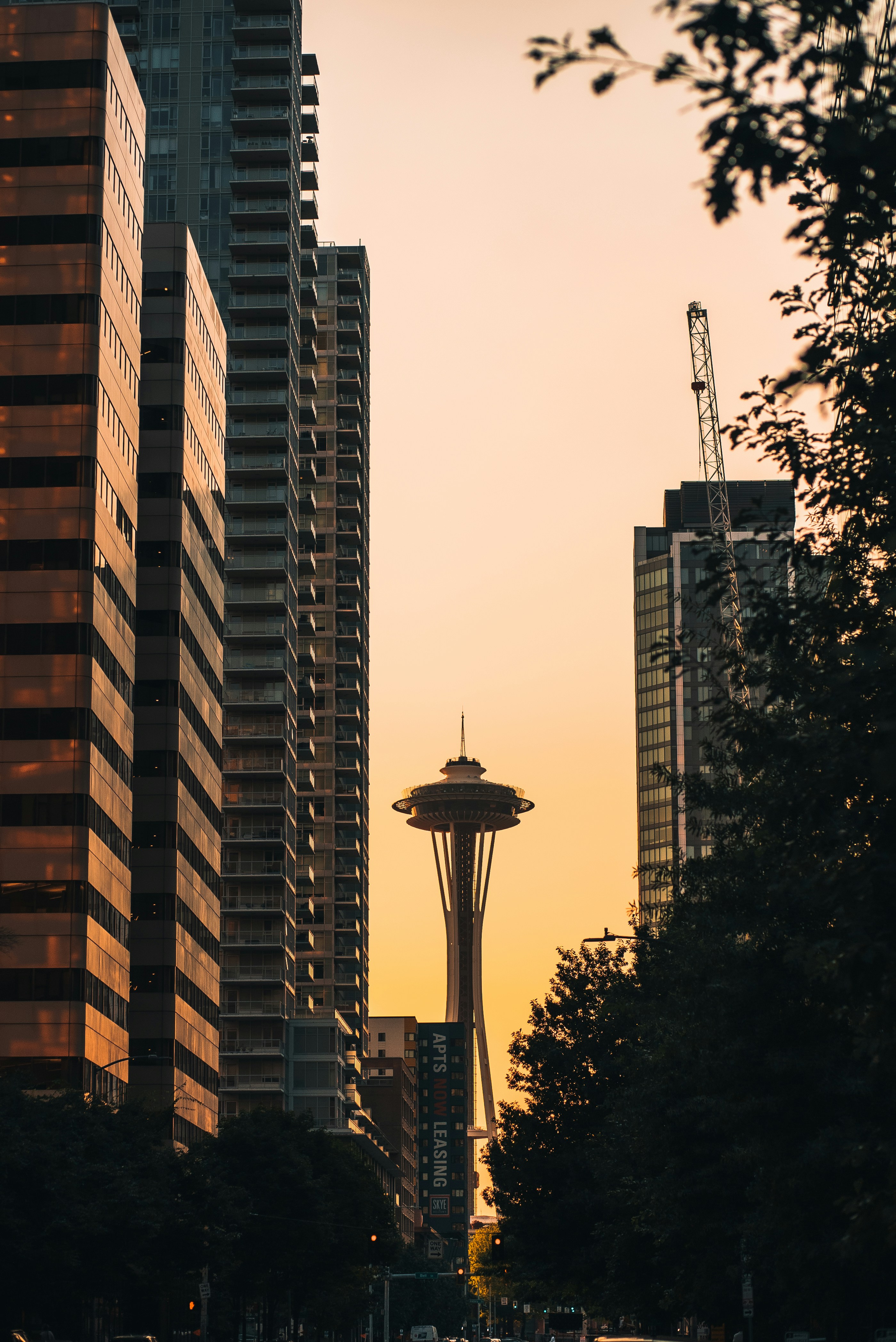 Golden Hour Between Towers: Space Needle Framed by Seattle's Steel Canyon