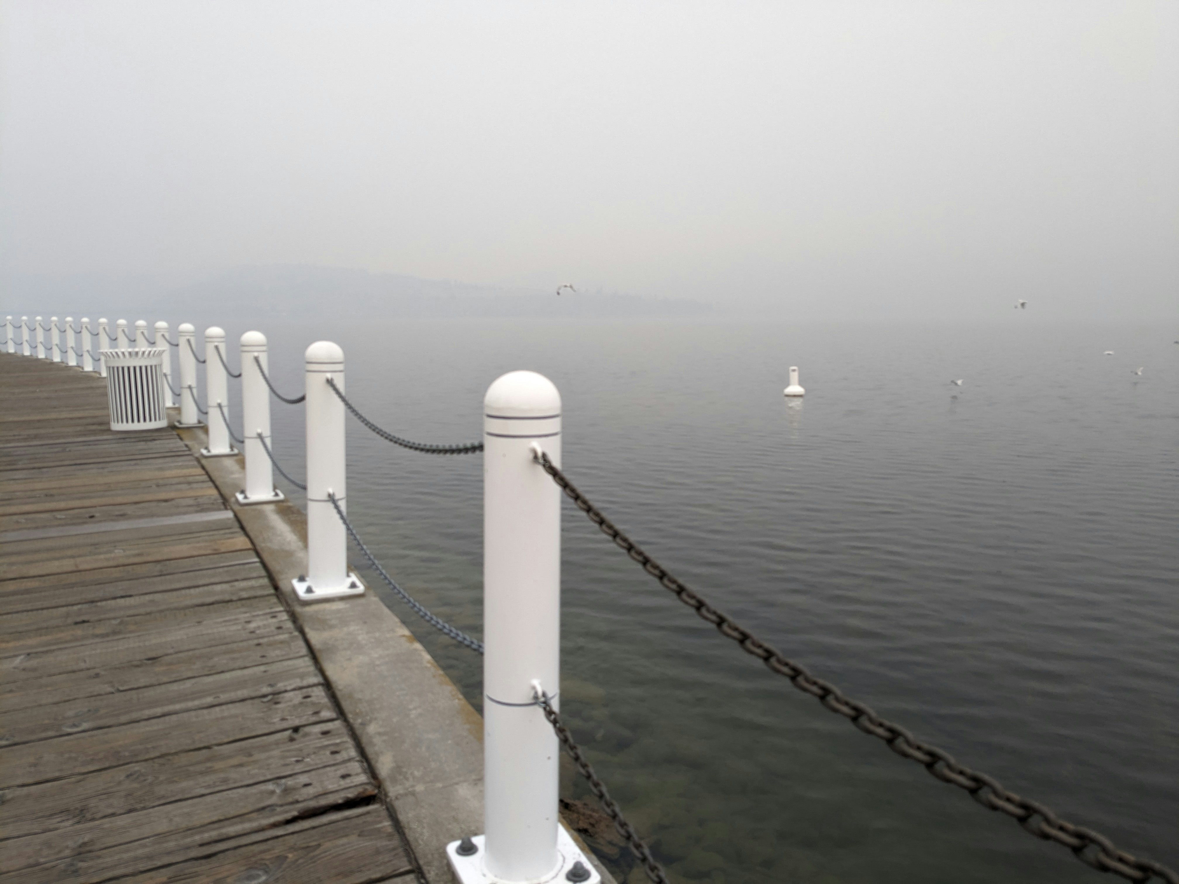 Lines of White Posts Lead Through Mist toward a Quiet Horizon