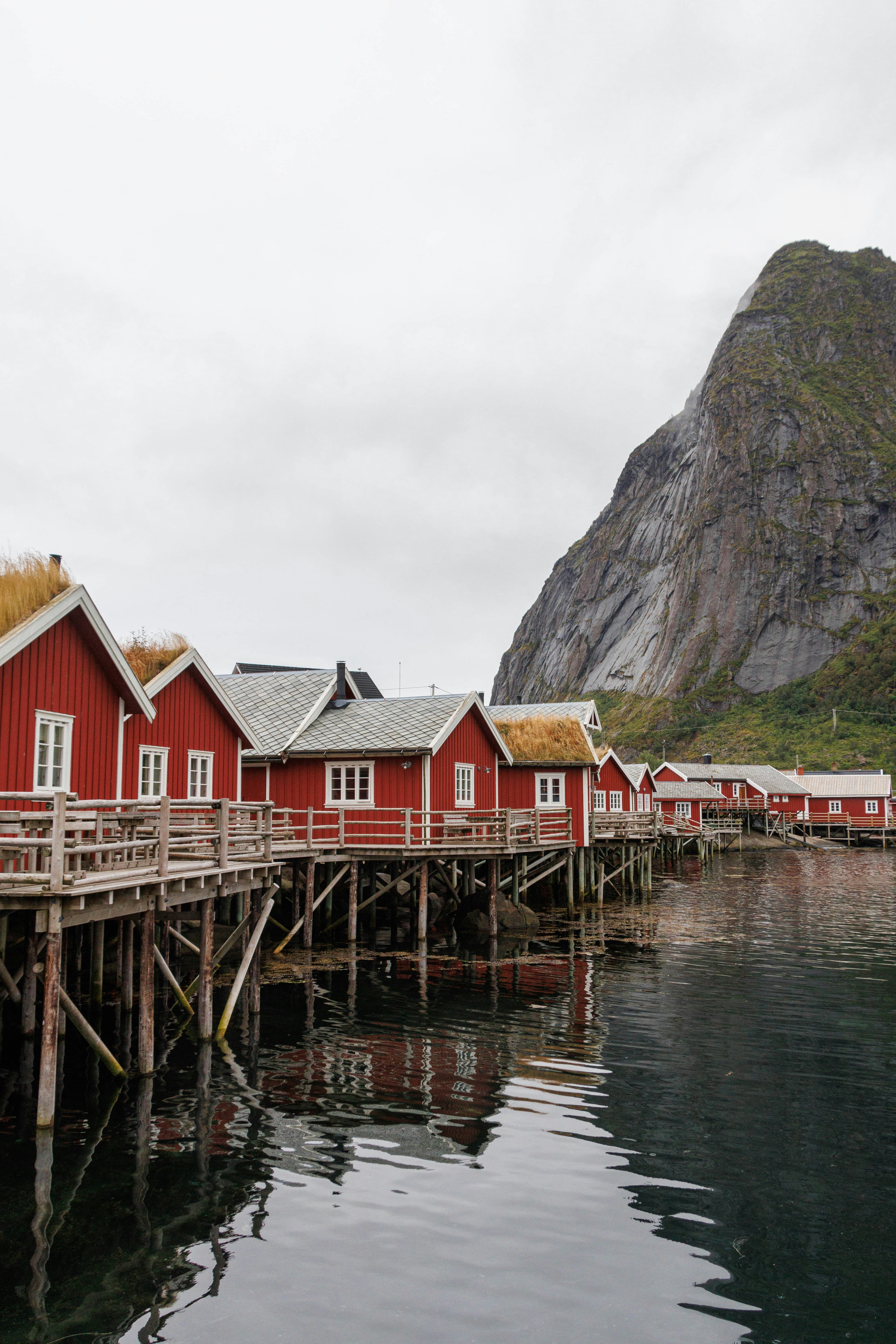 A row of red houses sitting next to a body of water photo – Free Reine ...