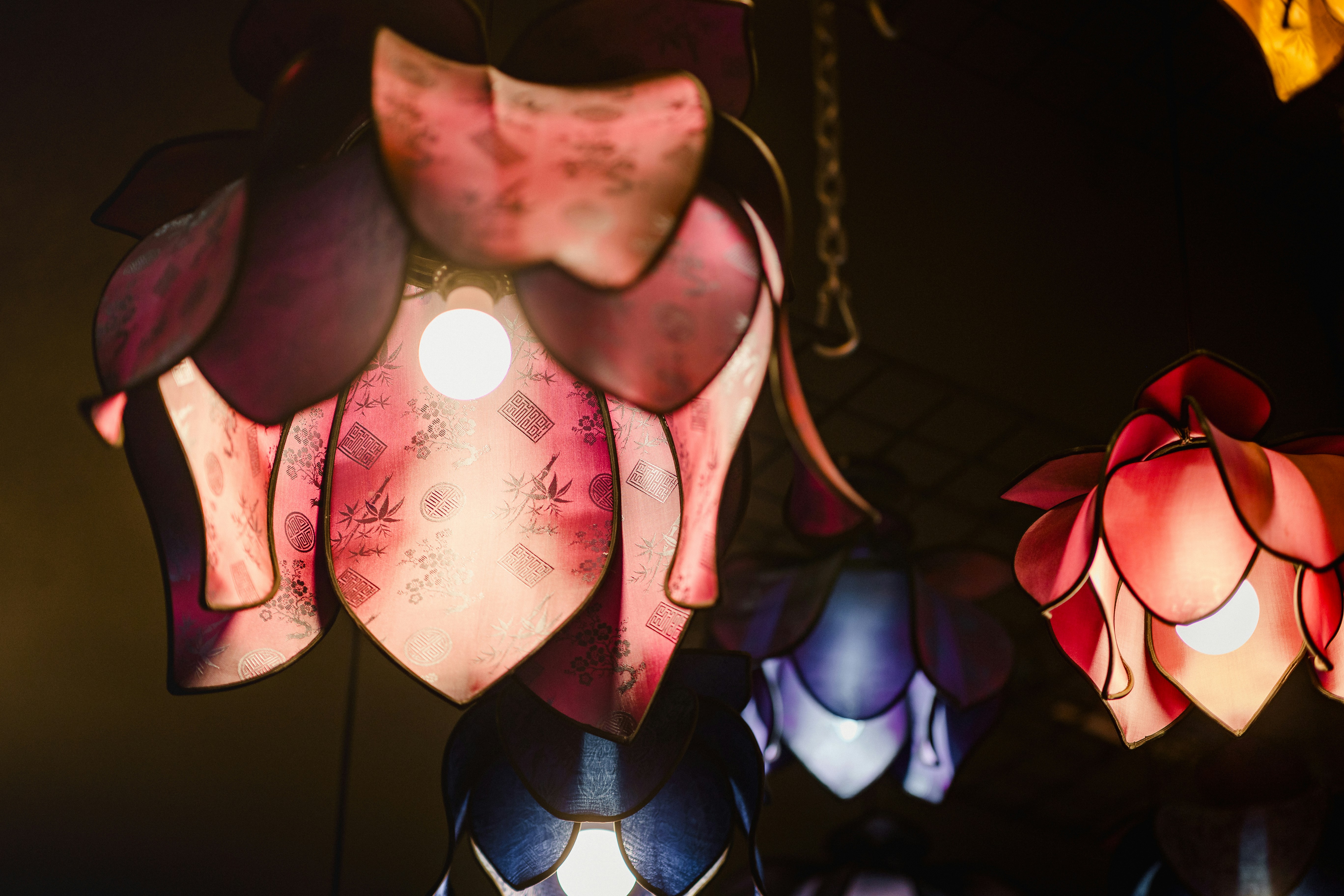 Glow of Colored Lanterns: A Quiet Night Centered on a Soft Bloom
