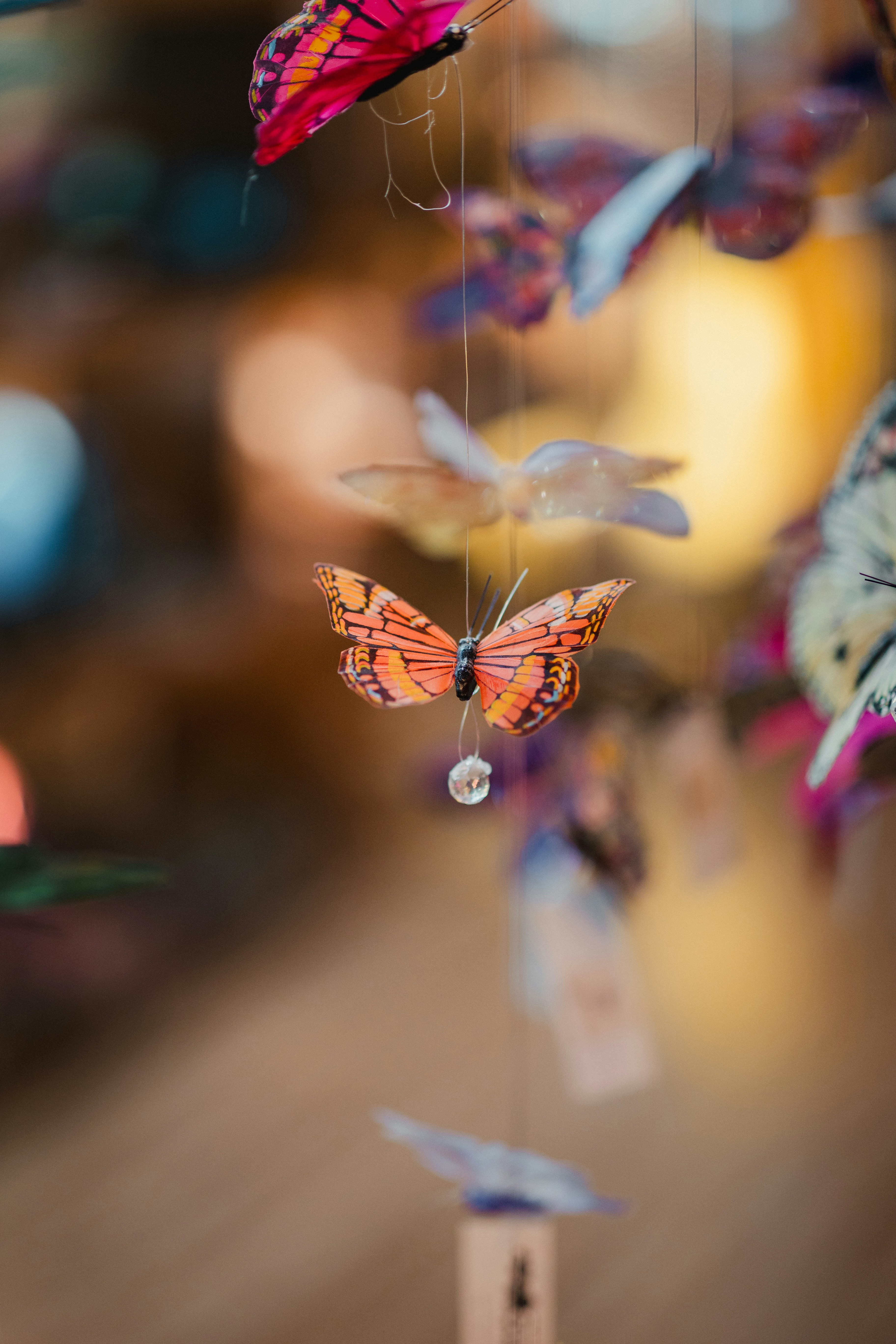A group of colorful butterflies hanging from a string photo – Free ...