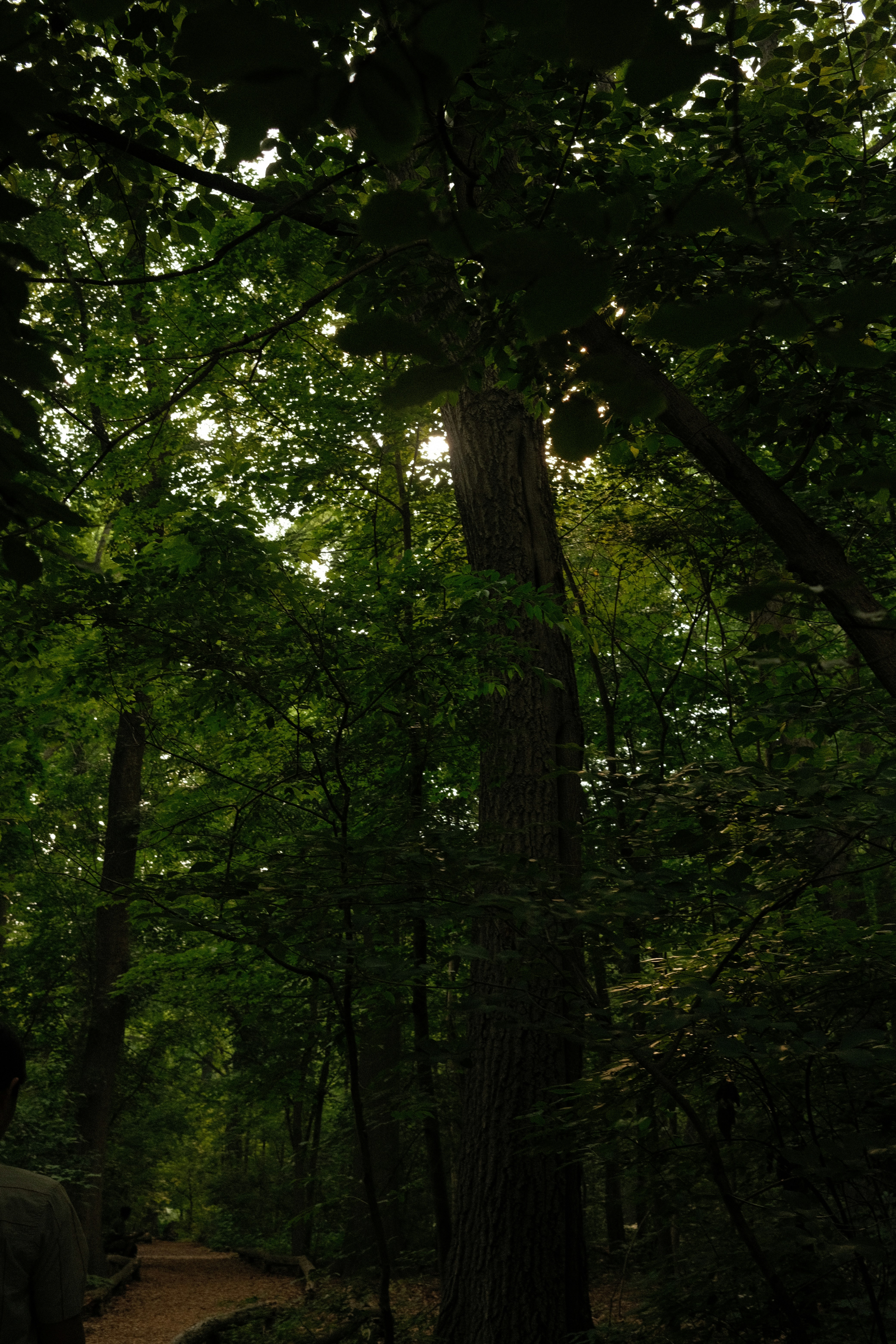 Photo by Rashtravardhan Kataria with Fujifilm X100V