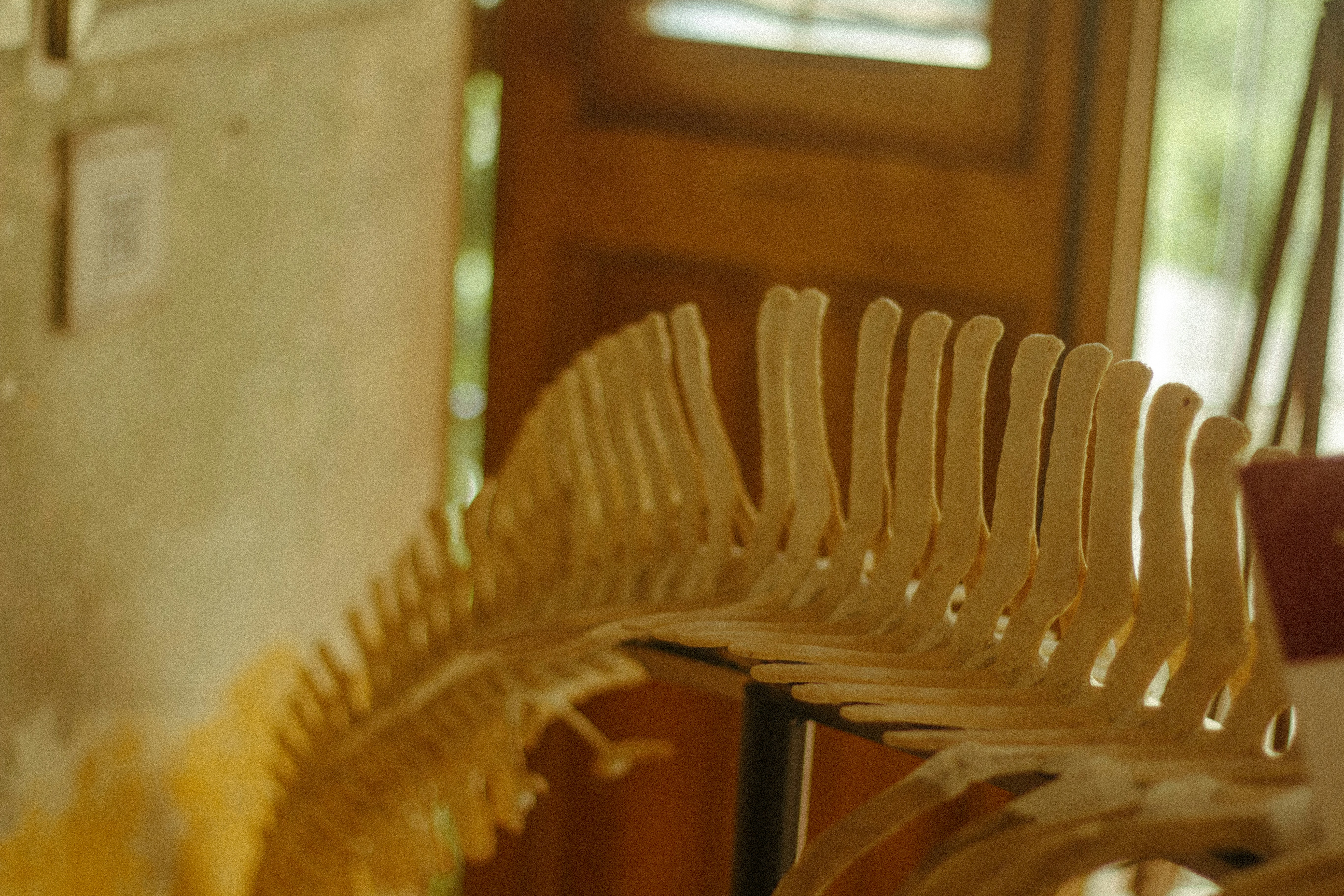 Arc of a Wooden Ribcage in a Warm Interior