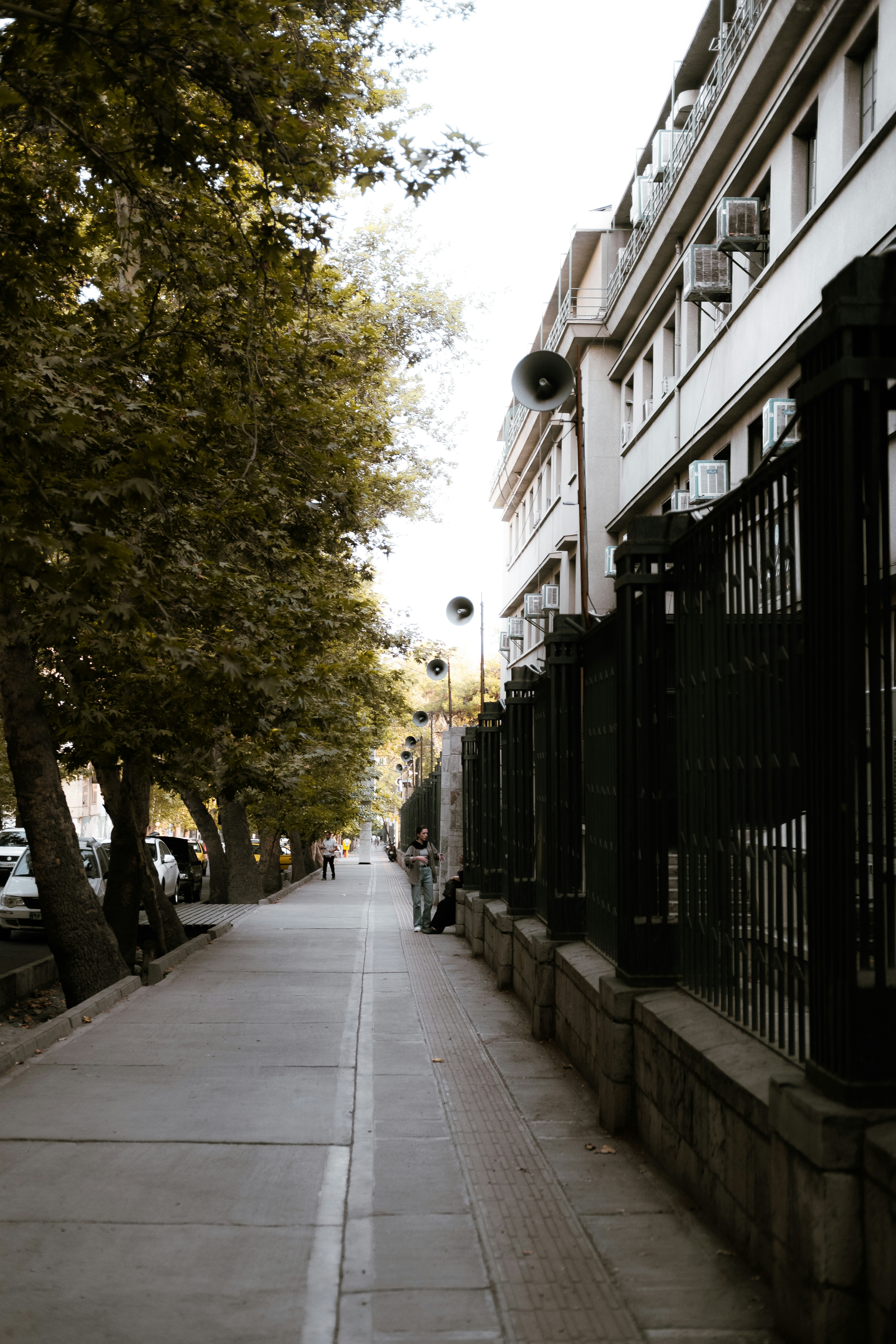 A sidewalk with a fence and trees on both sides of it photo – Free ...