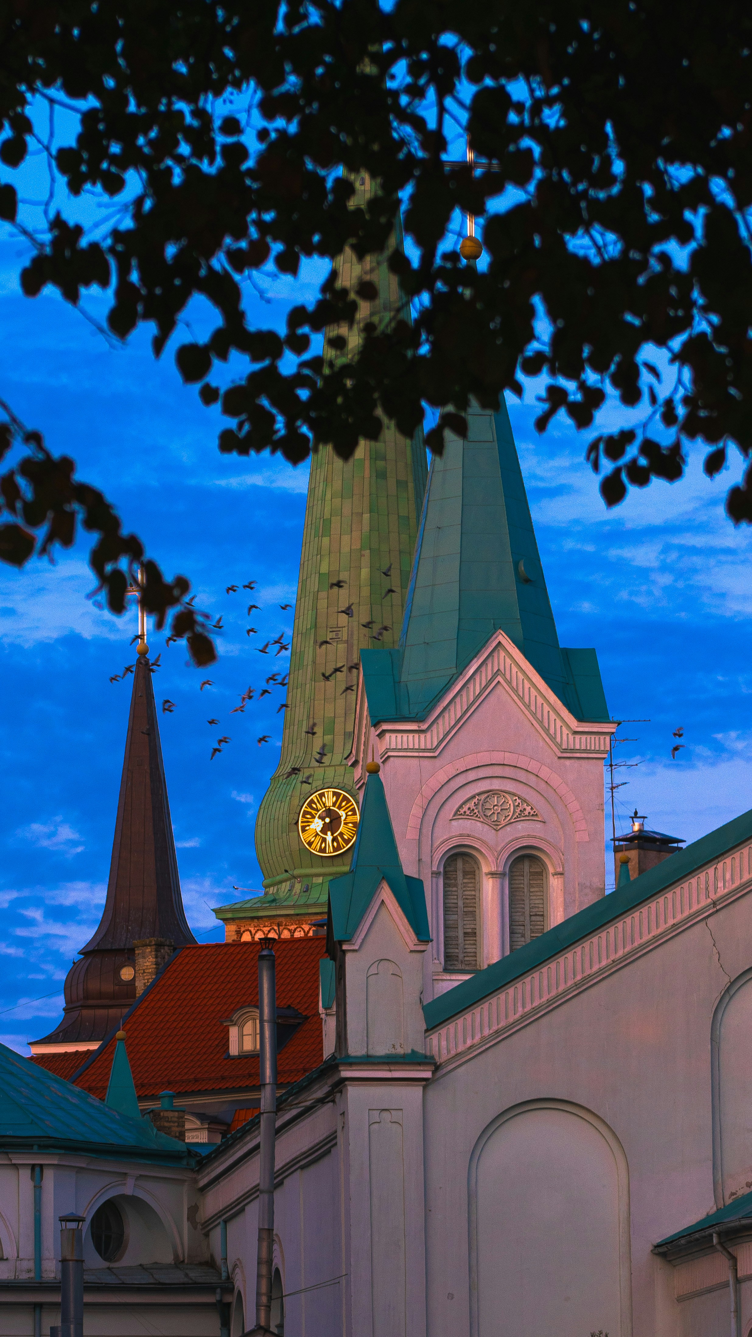 Clocktower Constellation: Blue Sky, Spires, and Birds Over Rooftops