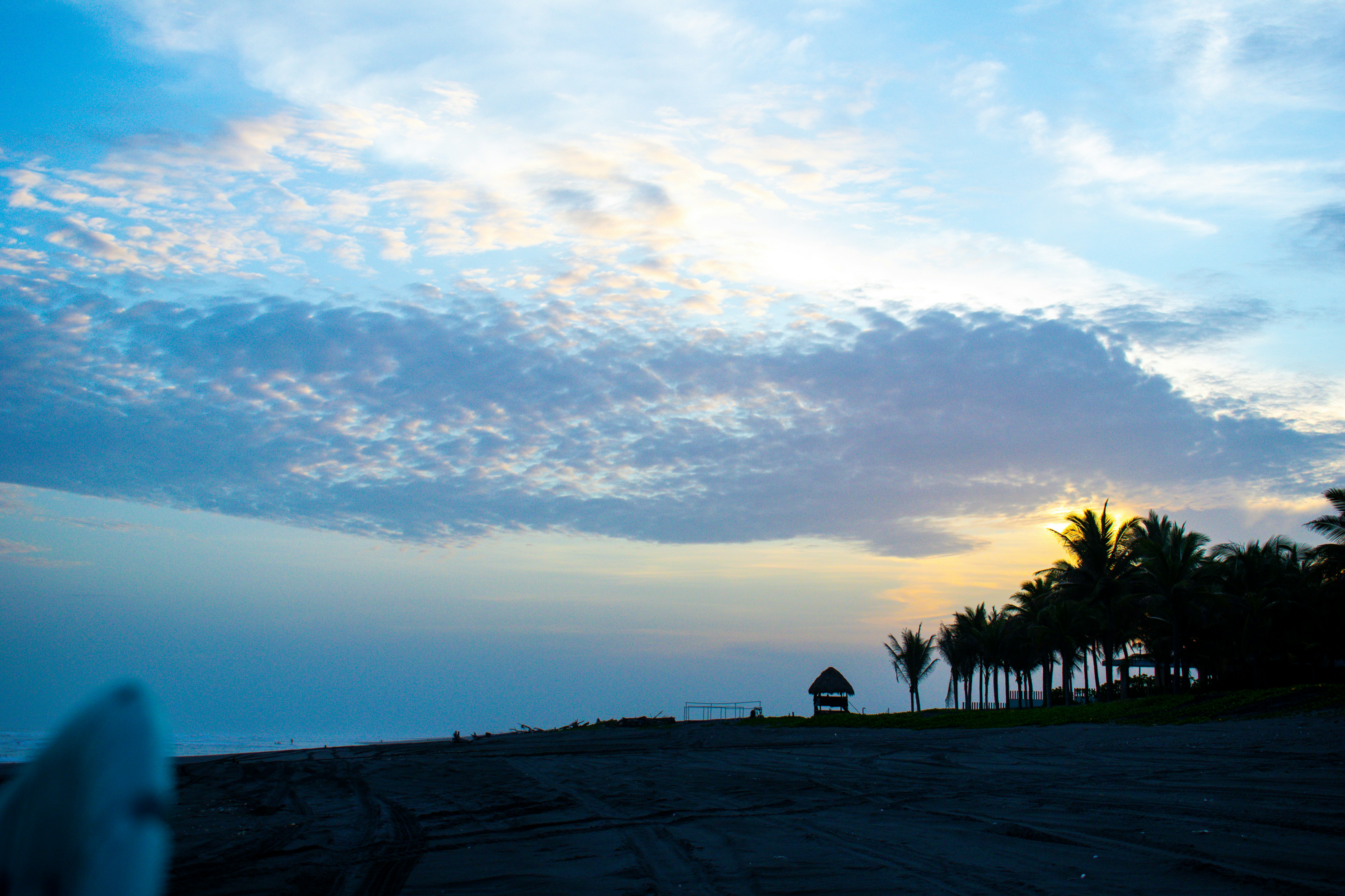 Palm trees silhouetted against a vibrant sunset sky at a tranquil beach.