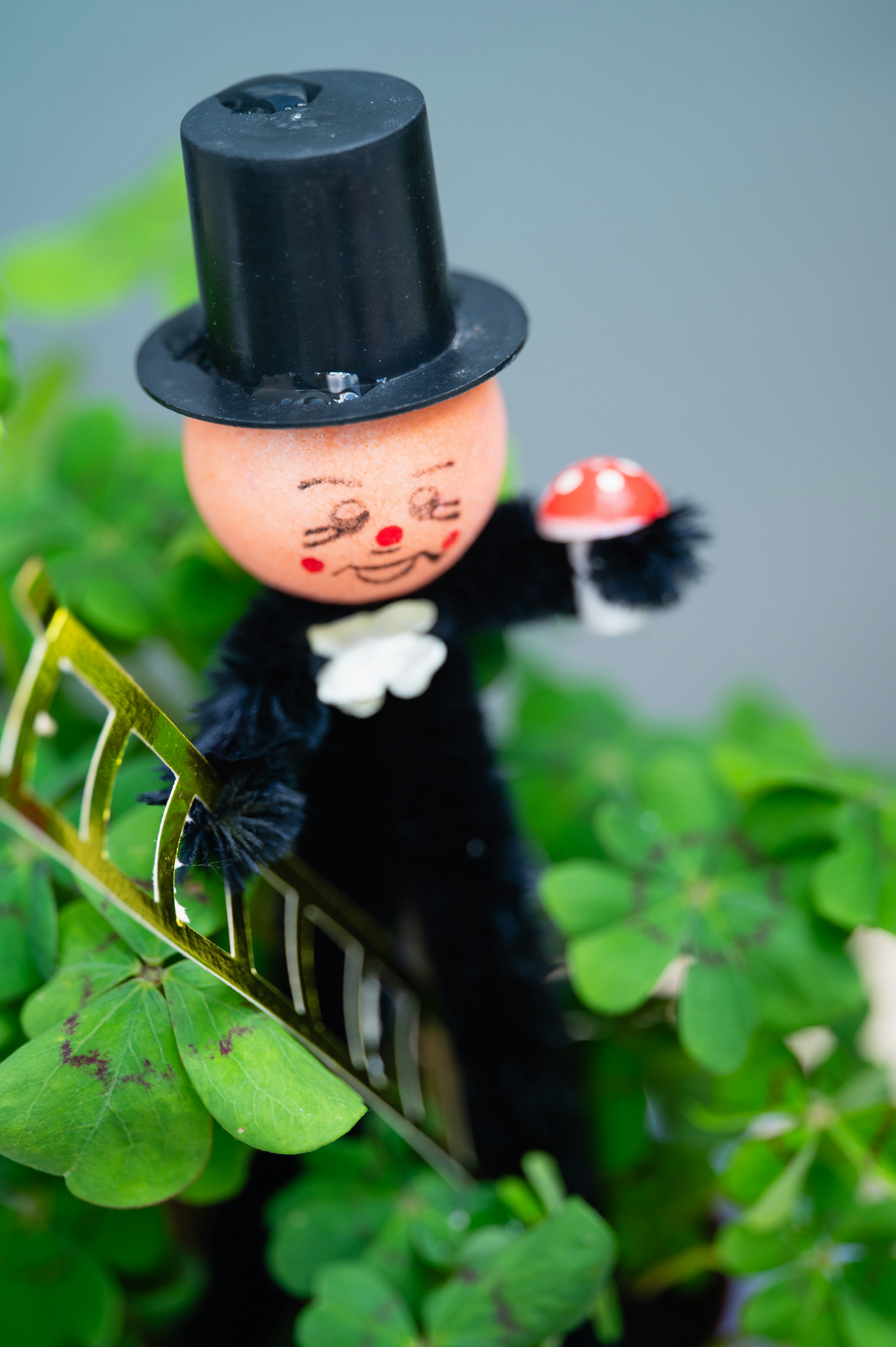 Tiny Gentleman on Clover: A Top-Hat Tale with a Red Mushroom