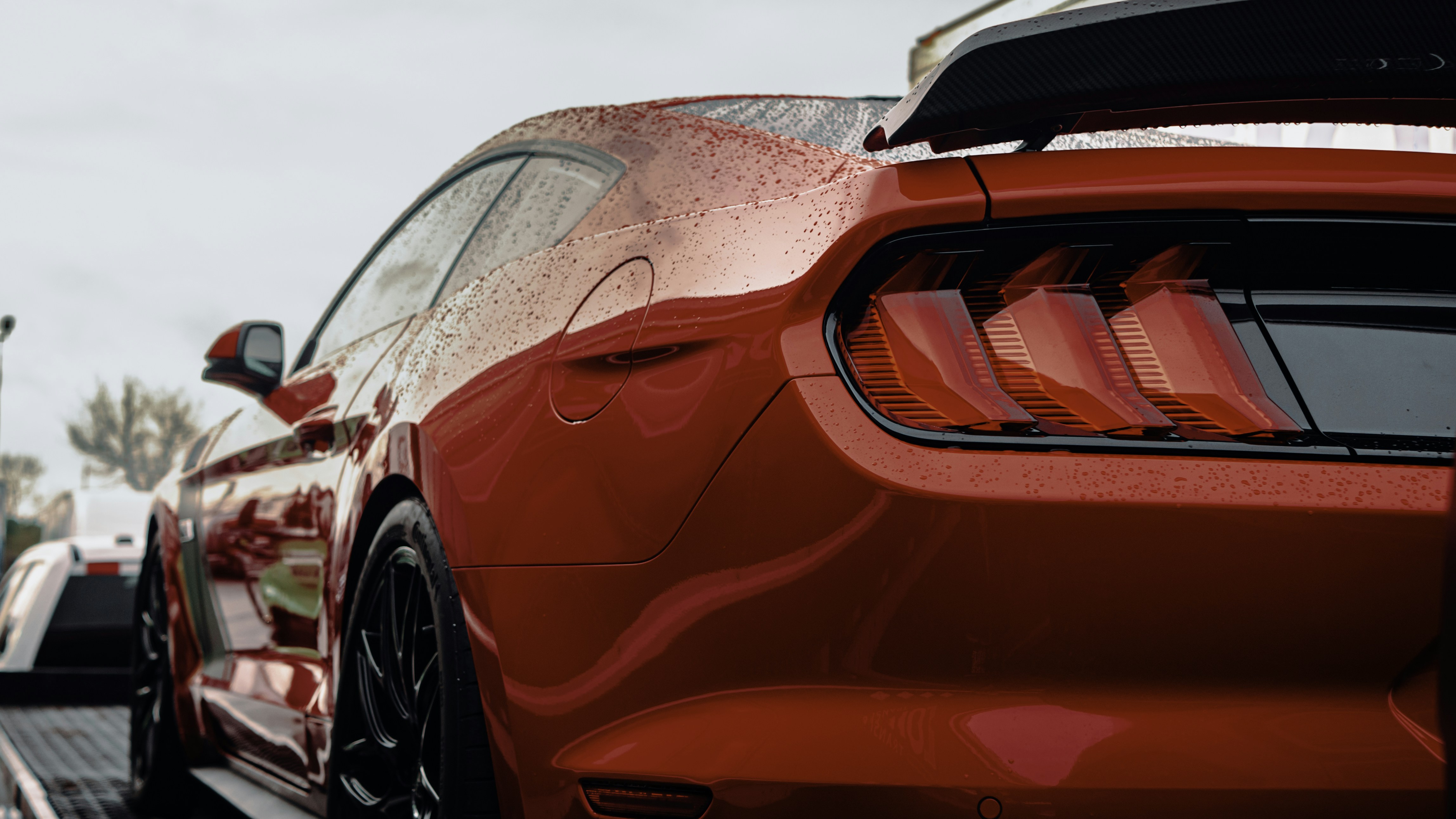 A close up of the rear end of a red sports car photo – Free Ford Image ...