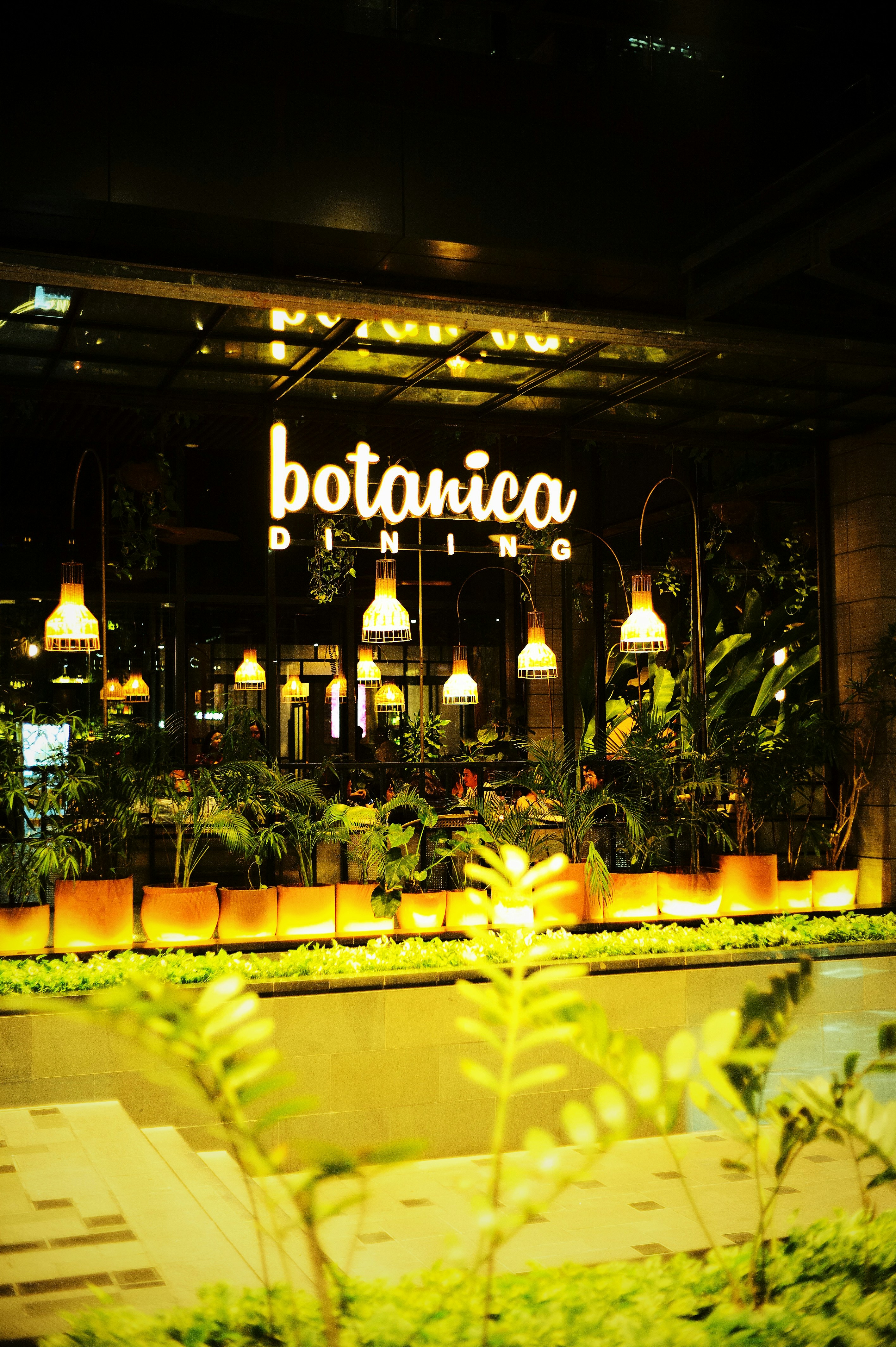 The entrance to botanica restaurant at night photo – Free Lighting ...