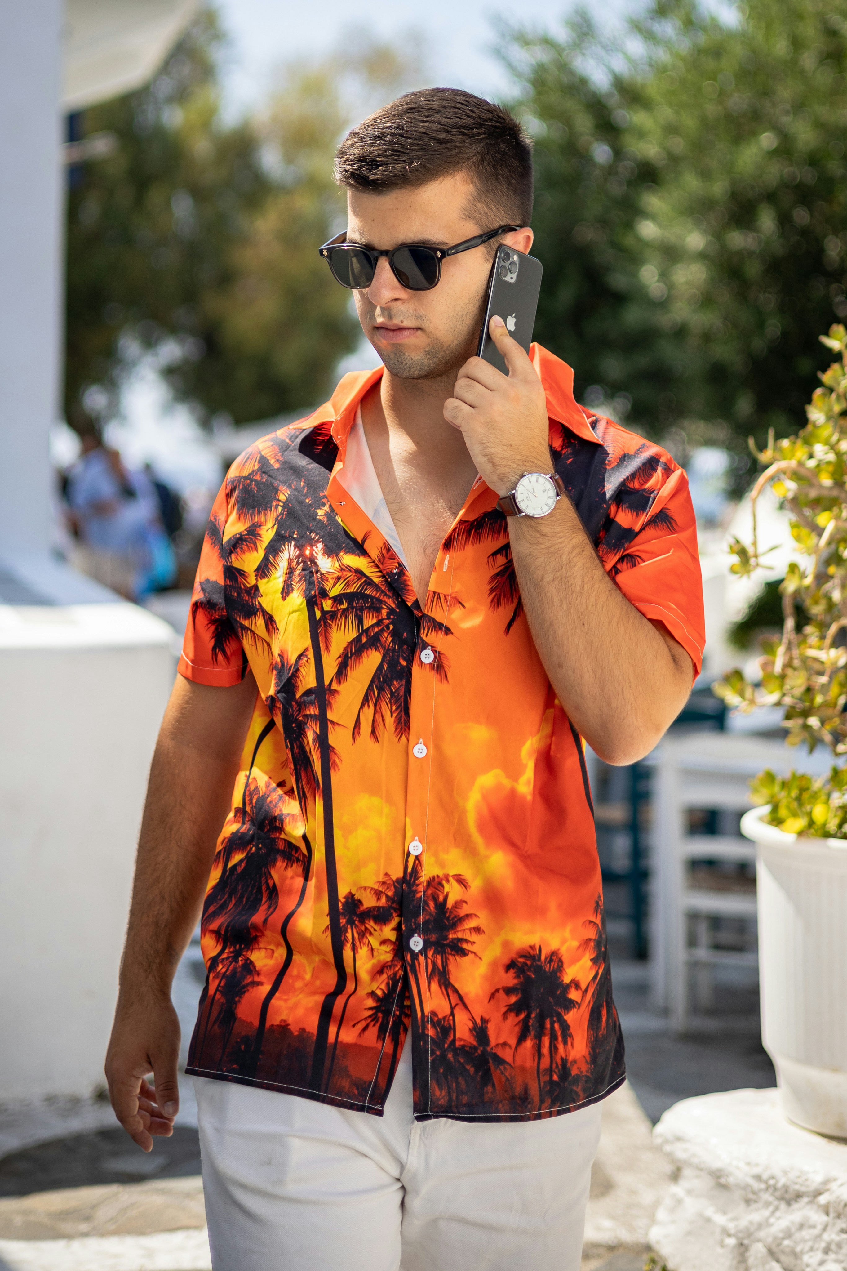 Palm-Print Moment: Sunlit Conversation on a Tropical Terrace