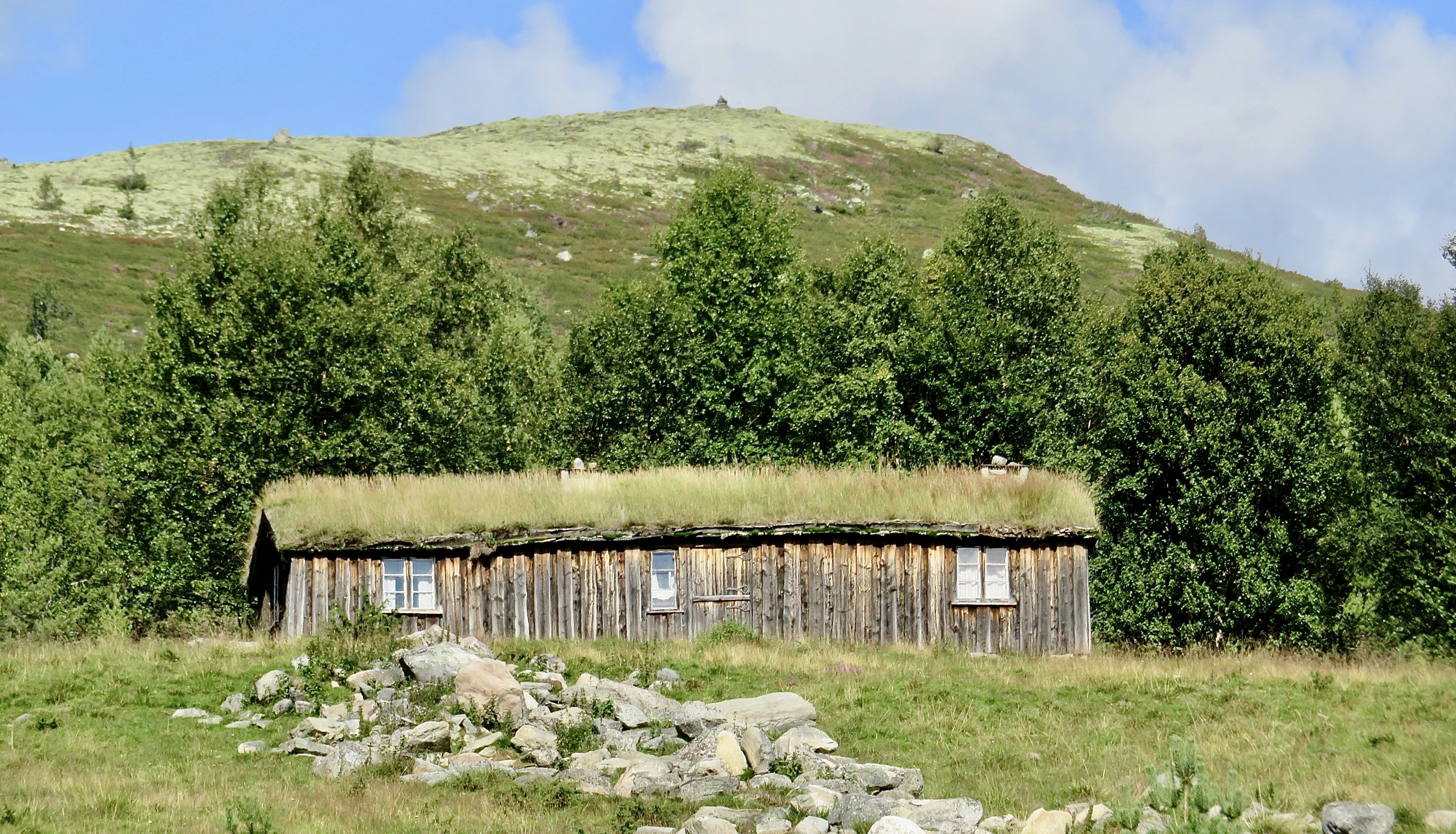 A rustic wooden cabin with a grassy roof nestled among lush greenery and boulders, set against a backdrop of rolling hills.