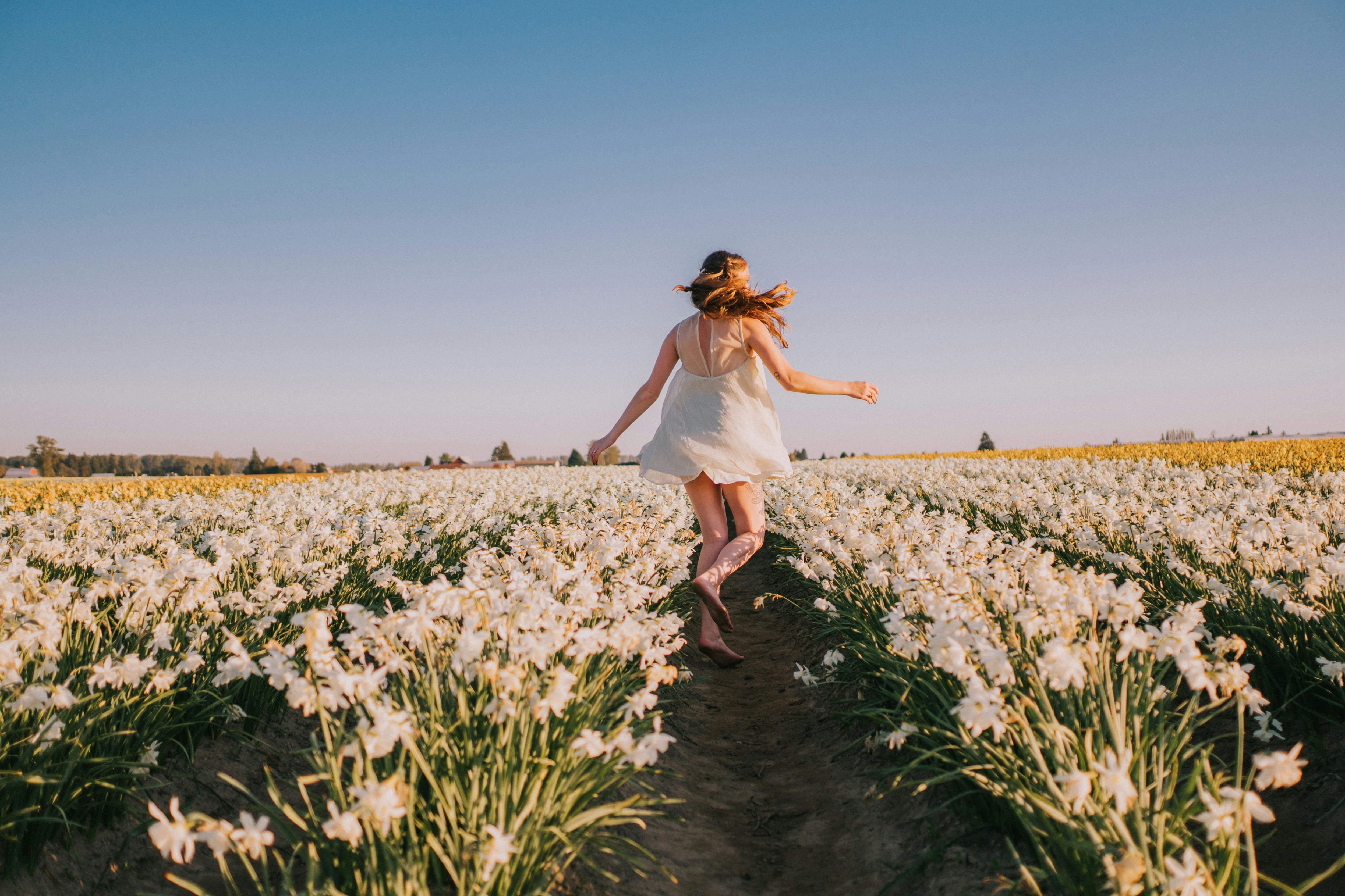 A woman walking through a field of flowers photo – Free Spring Image on ...