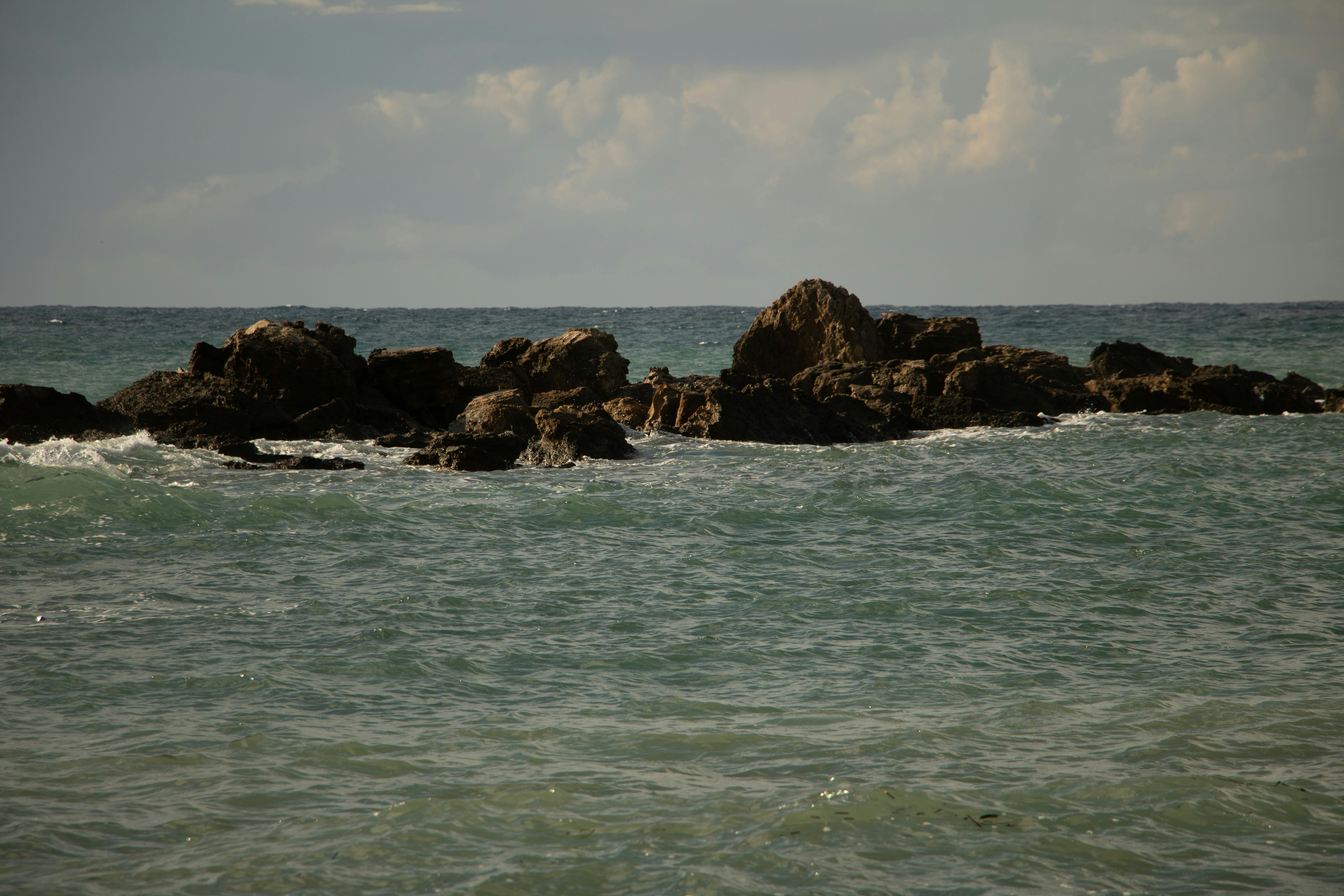 Photo by Plastic Lines with Canon EOS 750D