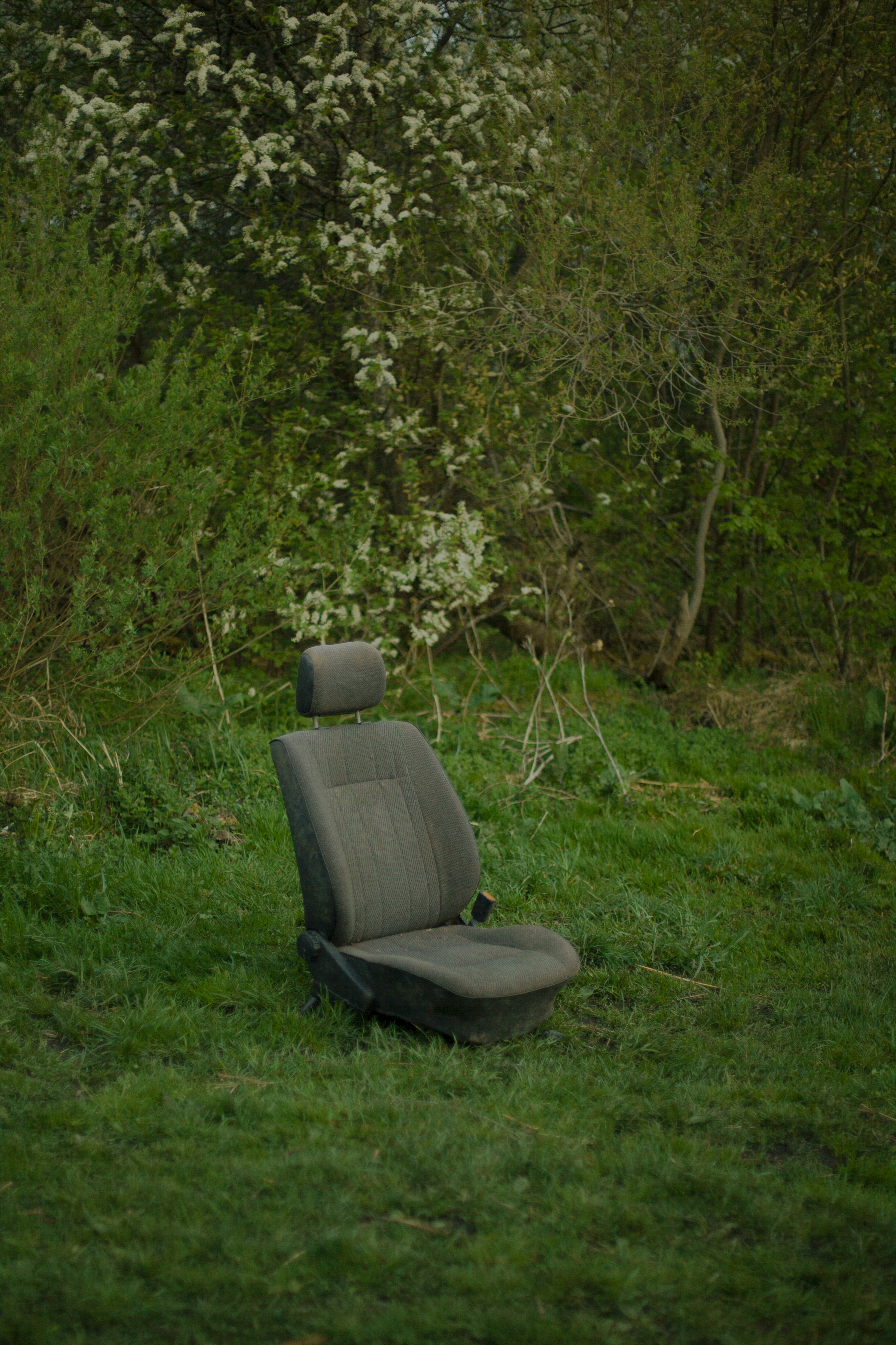 A Weathered Car Seat Finds Solace in a Spring Meadow