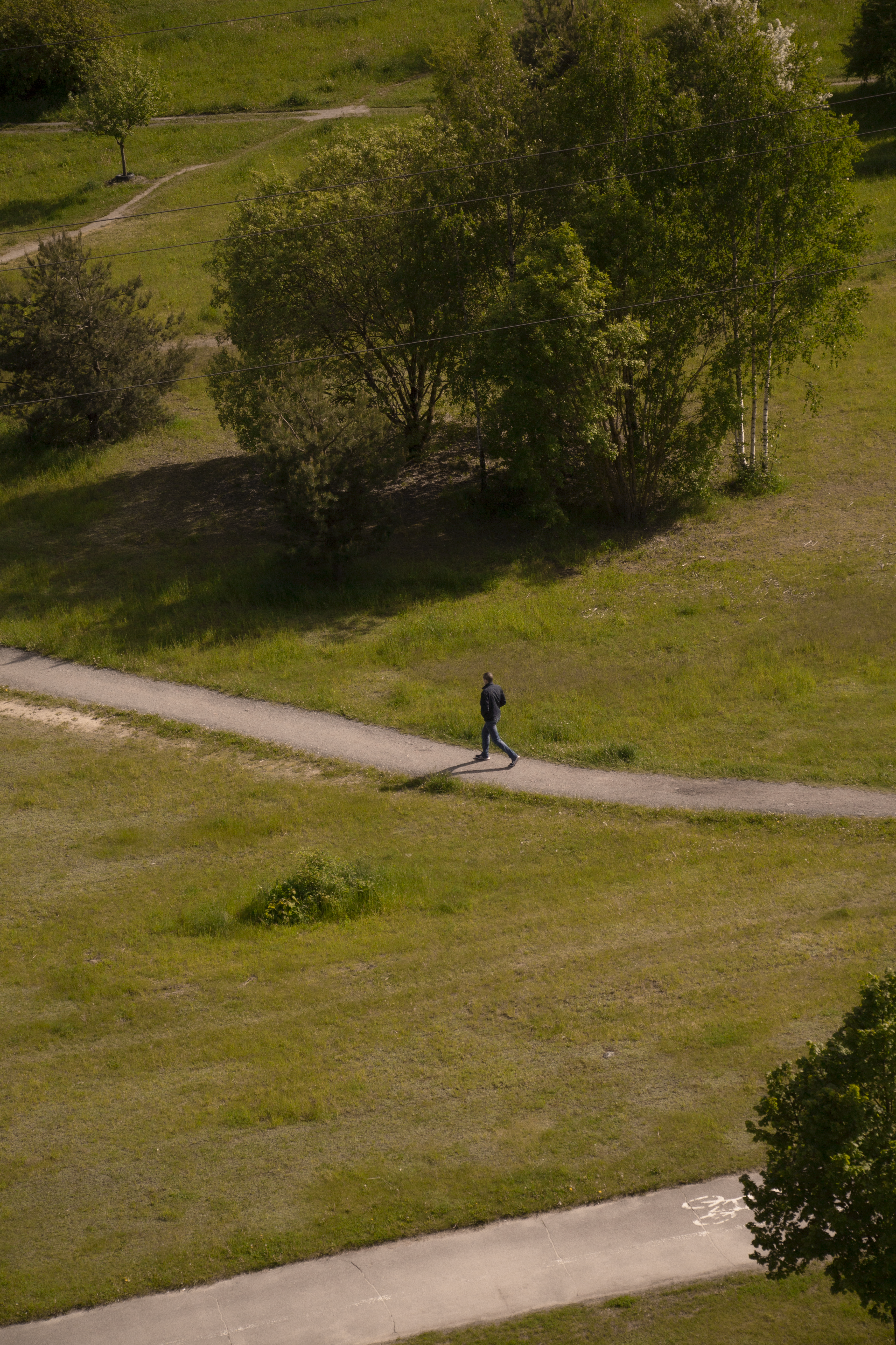 A person walking down a path in a park photo – Free Field Image on Unsplash
