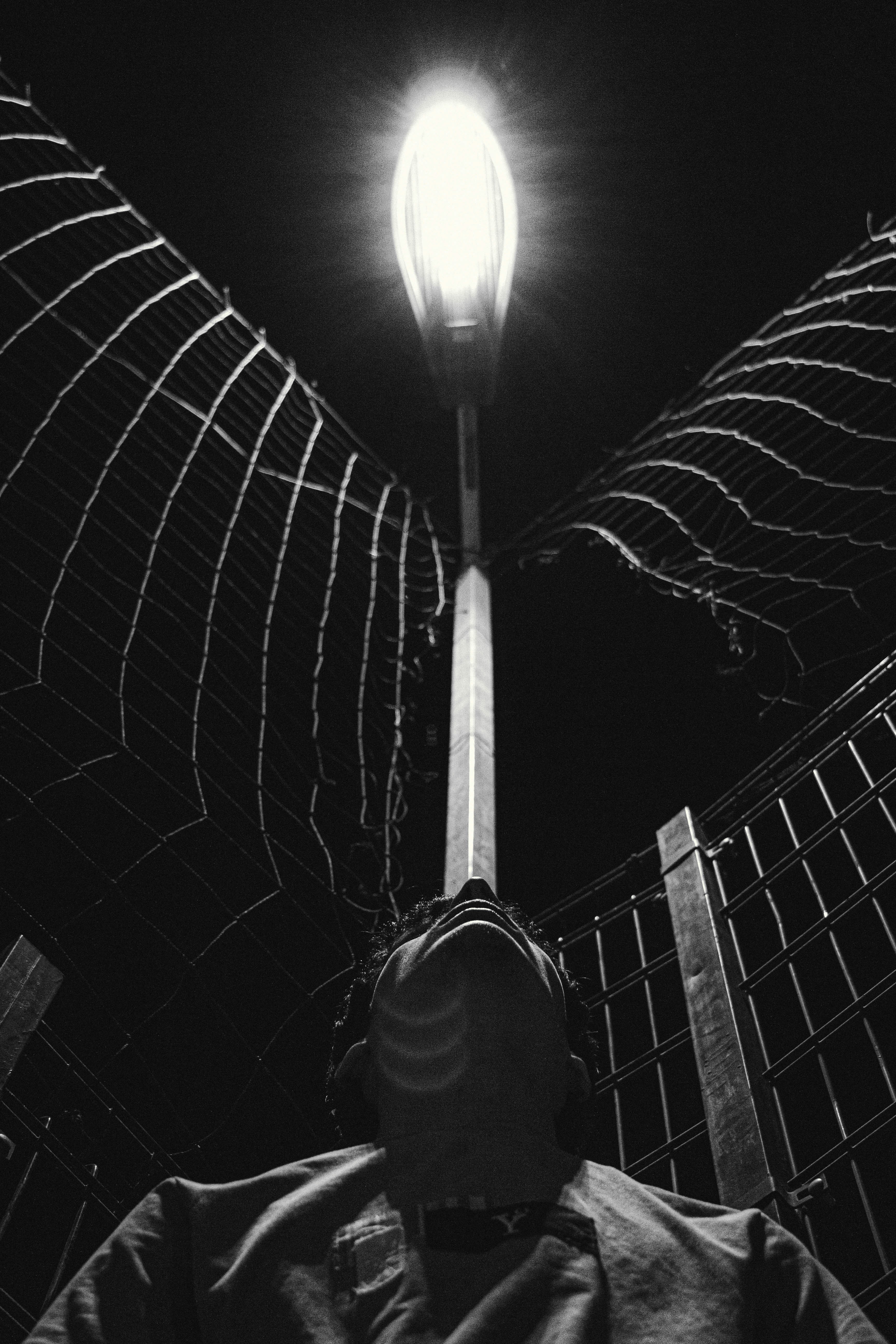 A man standing under a street light at night photo – Free Lighting ...
