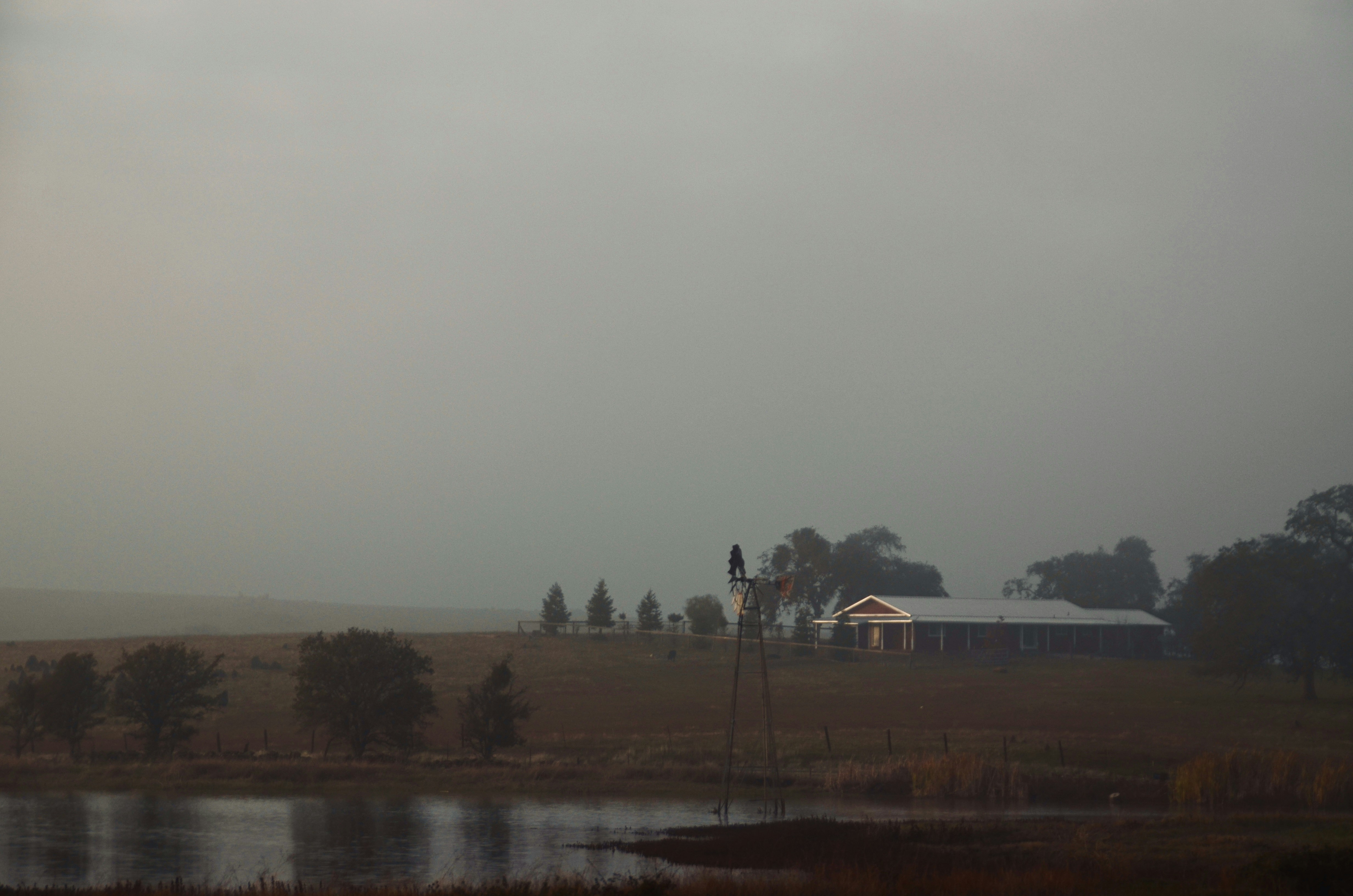 Misty Horizon Farmstead by the Quiet Wetland