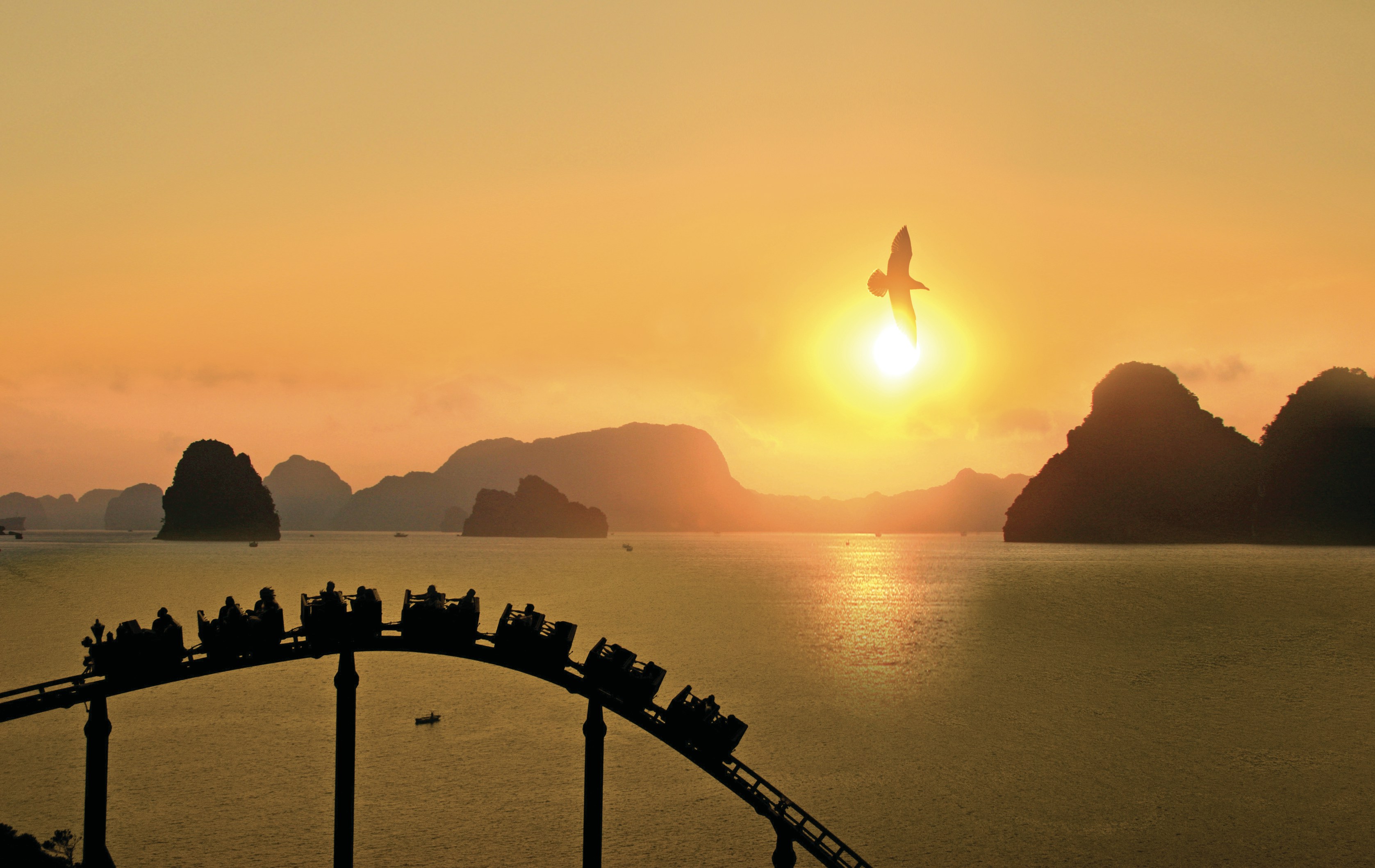 A roller coaster with a bird flying over it photo – Free Vietnam Image ...