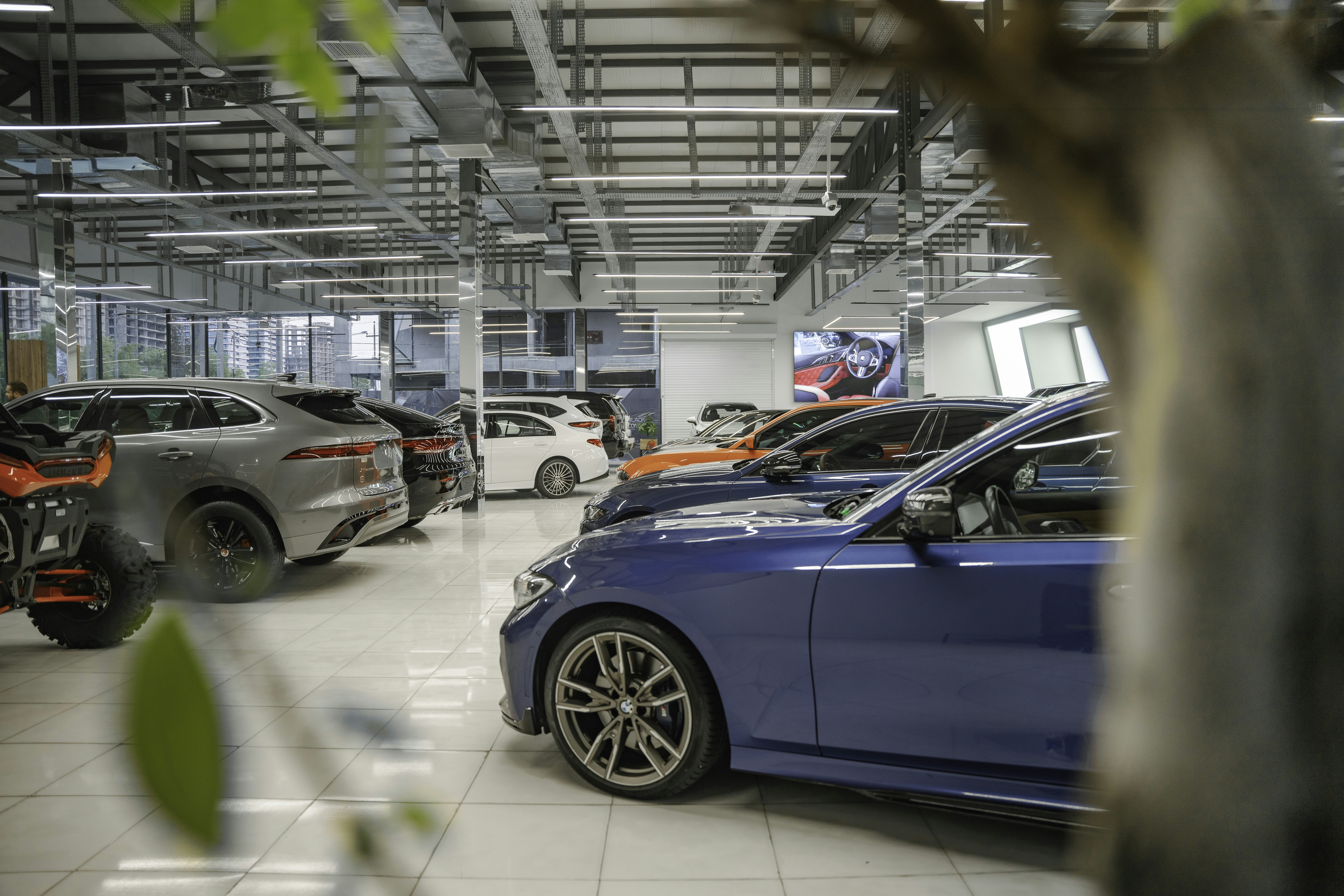 Velvet Blue in the Glasshouse: A Showroom Moment
