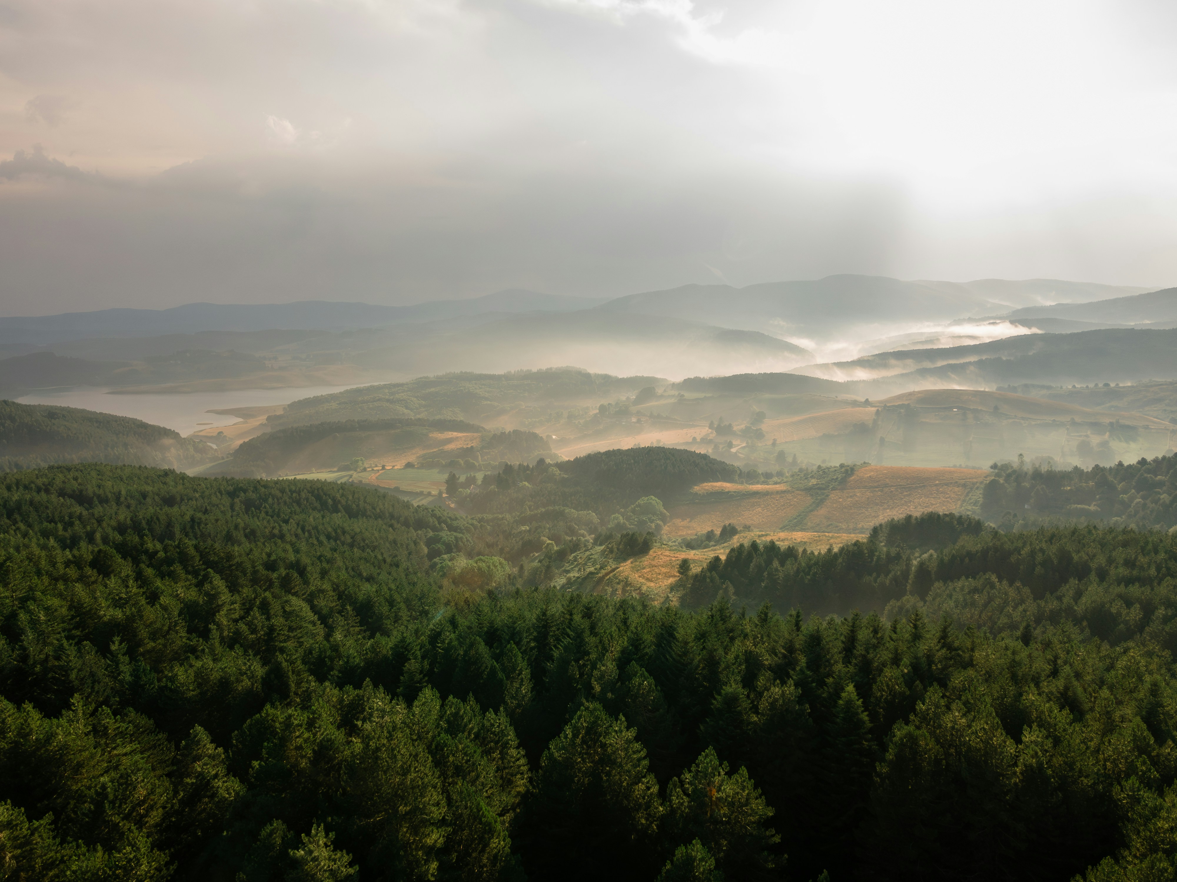 Sunlight filters through clouds over a mist-covered valley with dense forest in the foreground.