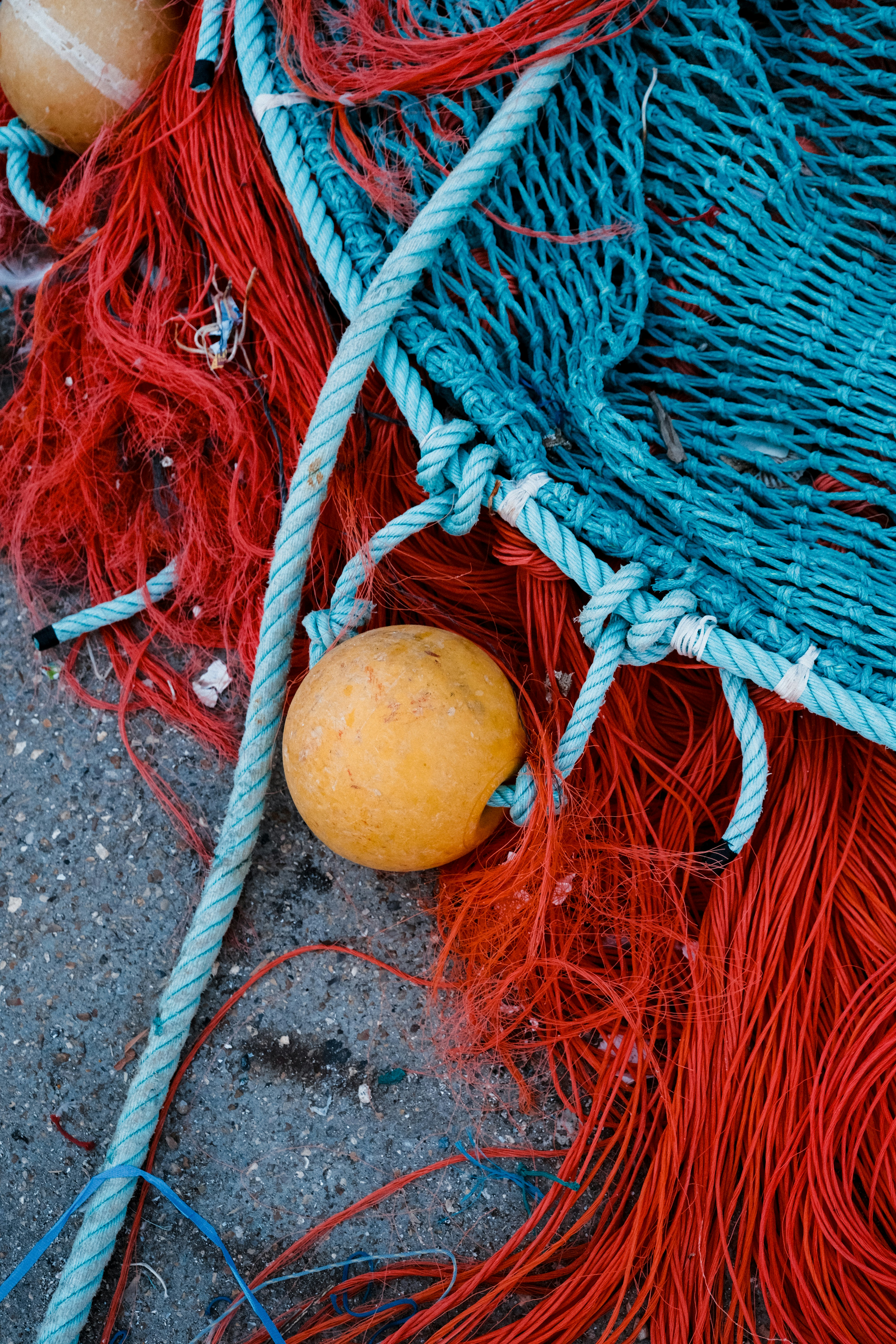 Lemon Adrift in a Sea of Netting: A Close-Up of Color and Texture