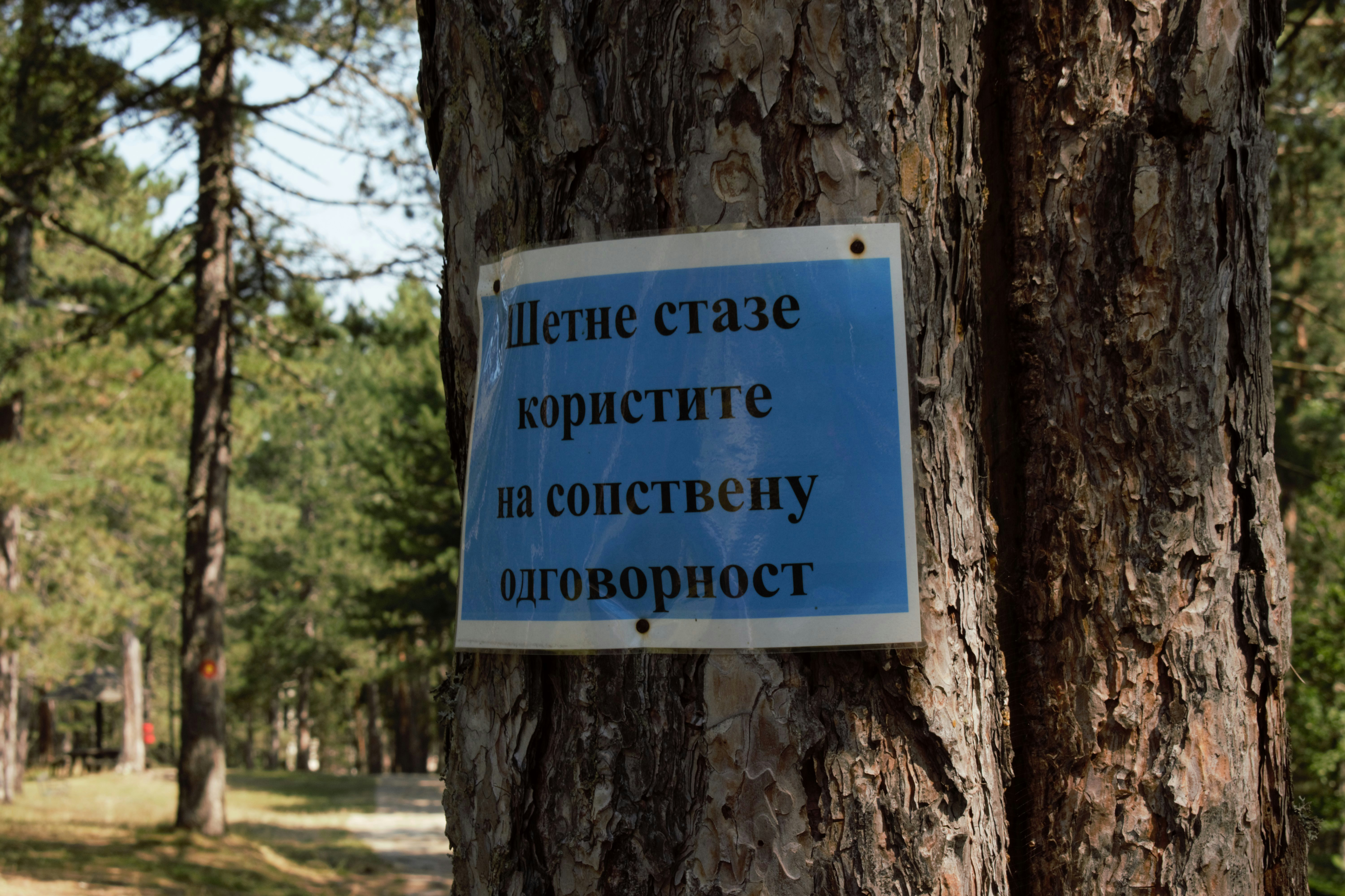 A sign posted on a tree in a forest photo – Free Tree Image on Unsplash