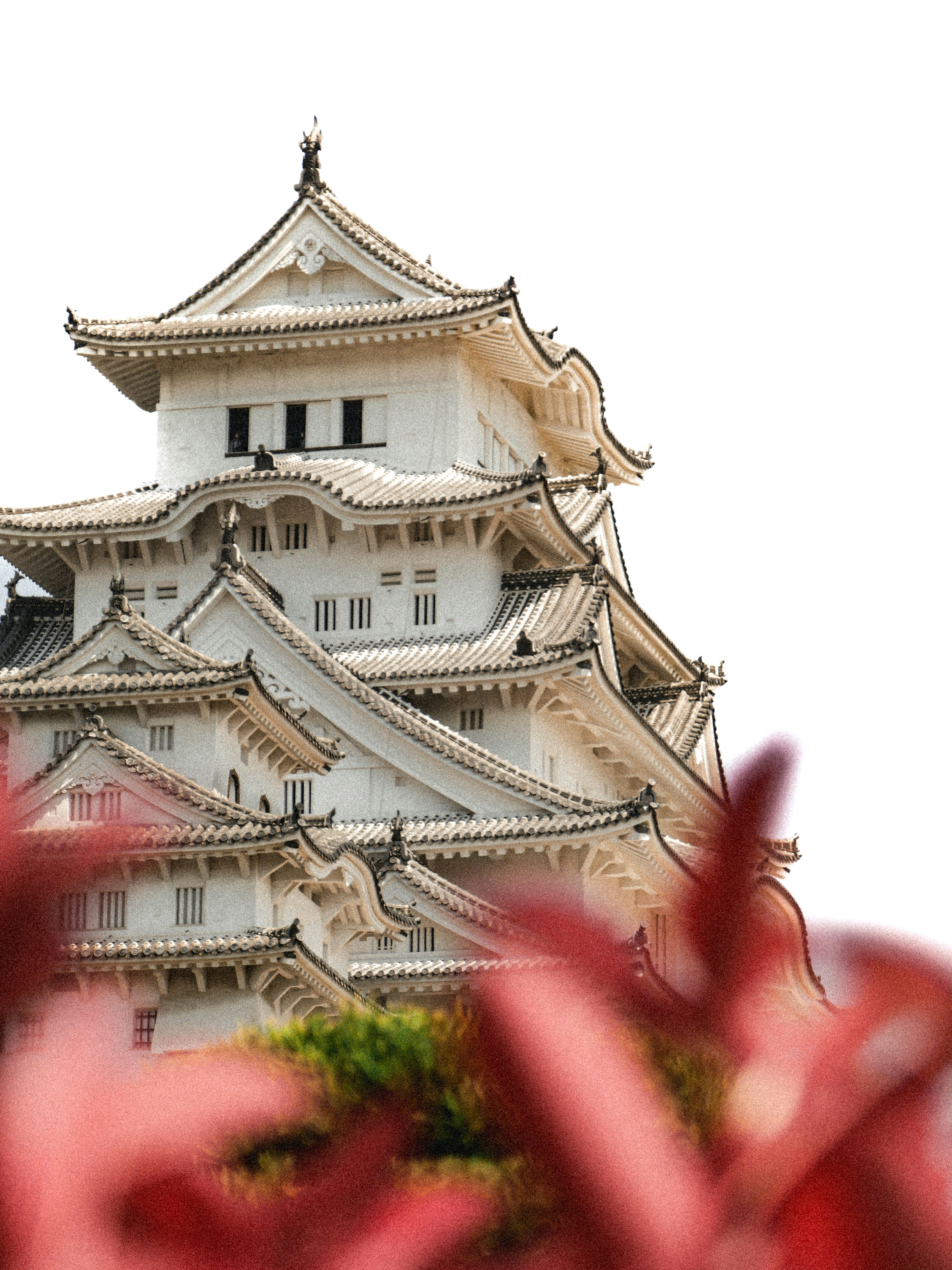 Towering Sakura: A Shinto Castle Reaches Toward the Sky