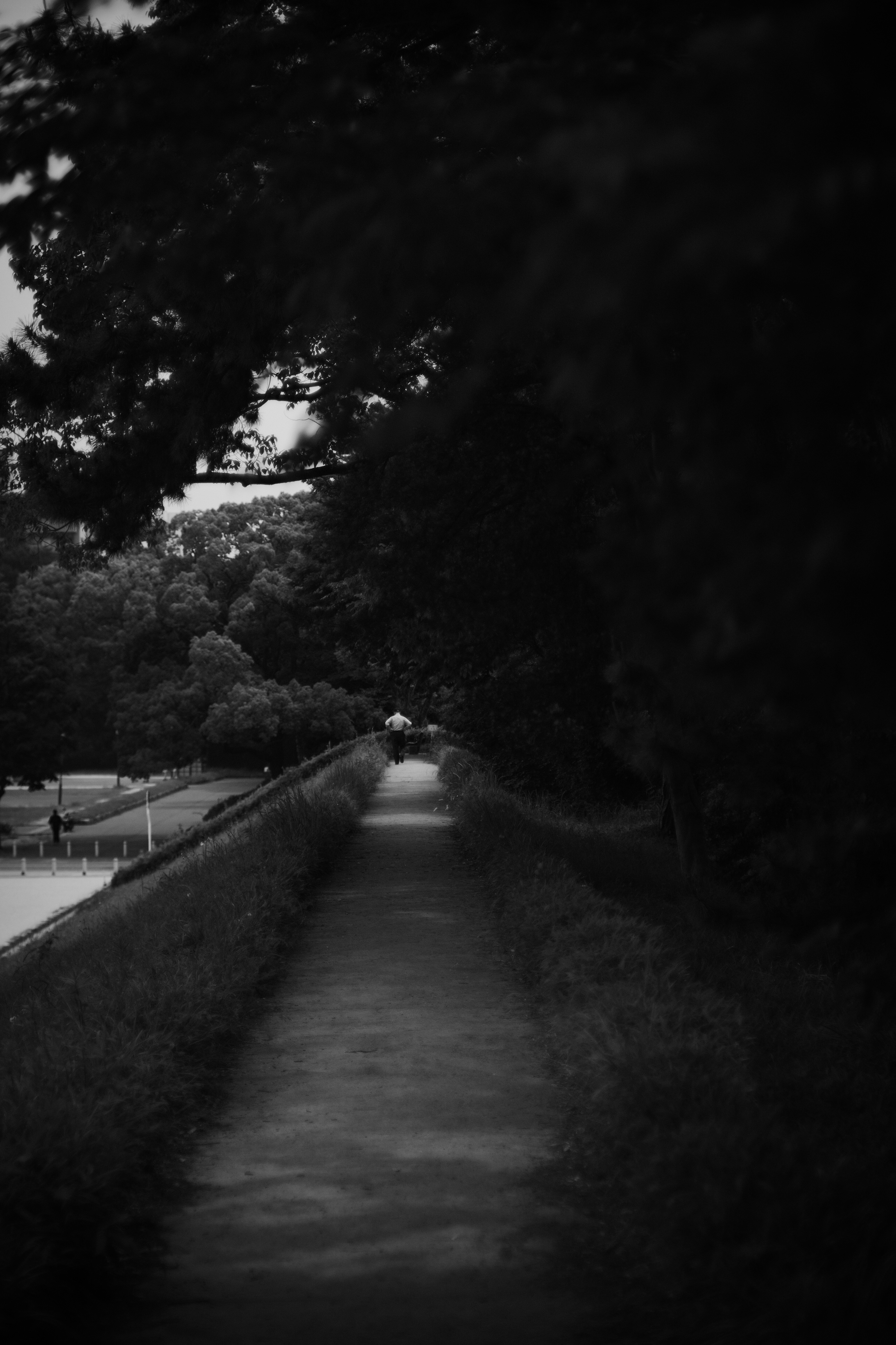 Photo by MAK with Fujifilm X-T20