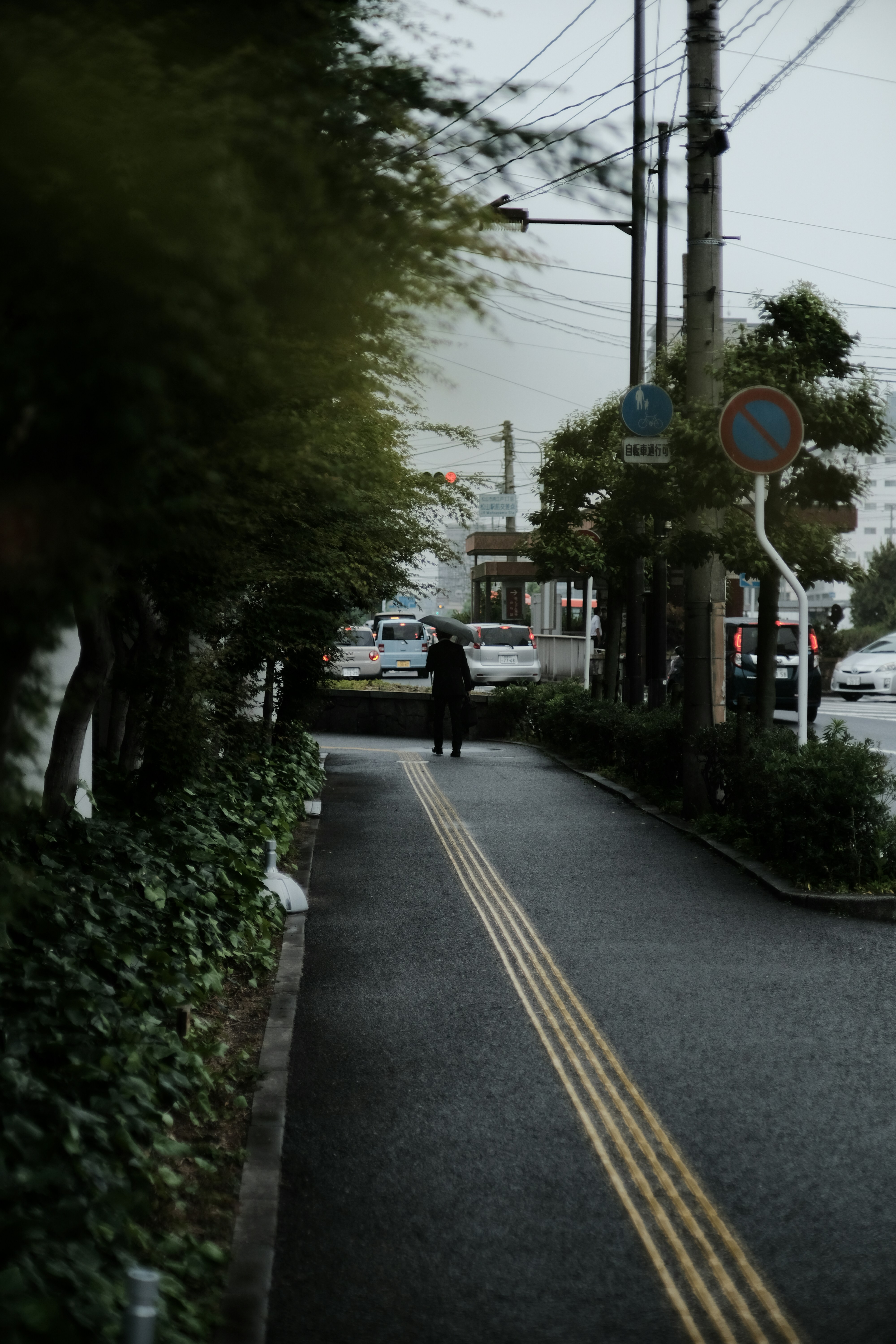 Single Pedestrian Under Cityweave: A Quiet Moment on a Narrow Street
