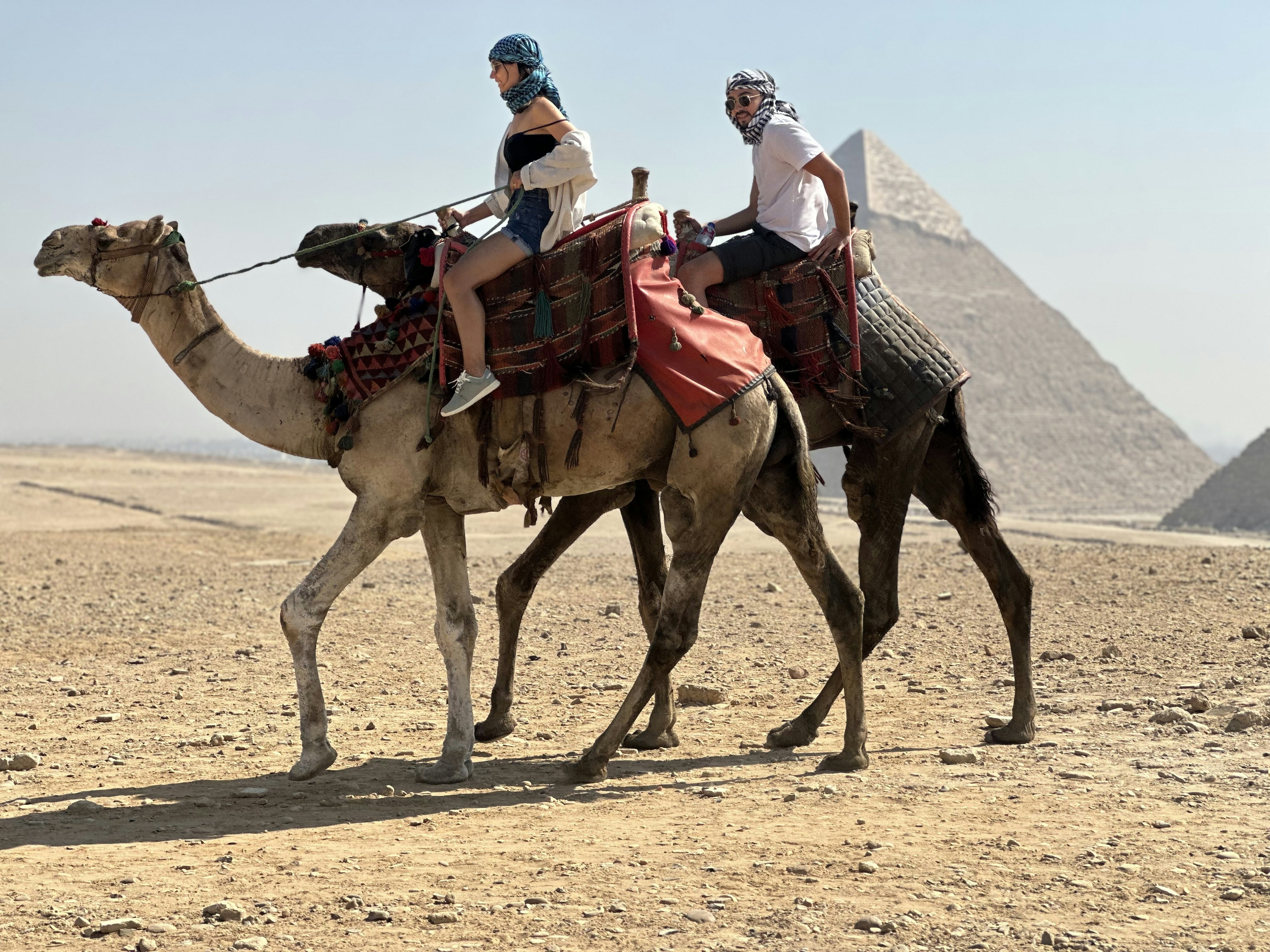 A couple of people riding on the back of a camel photo – Free Mısır ...