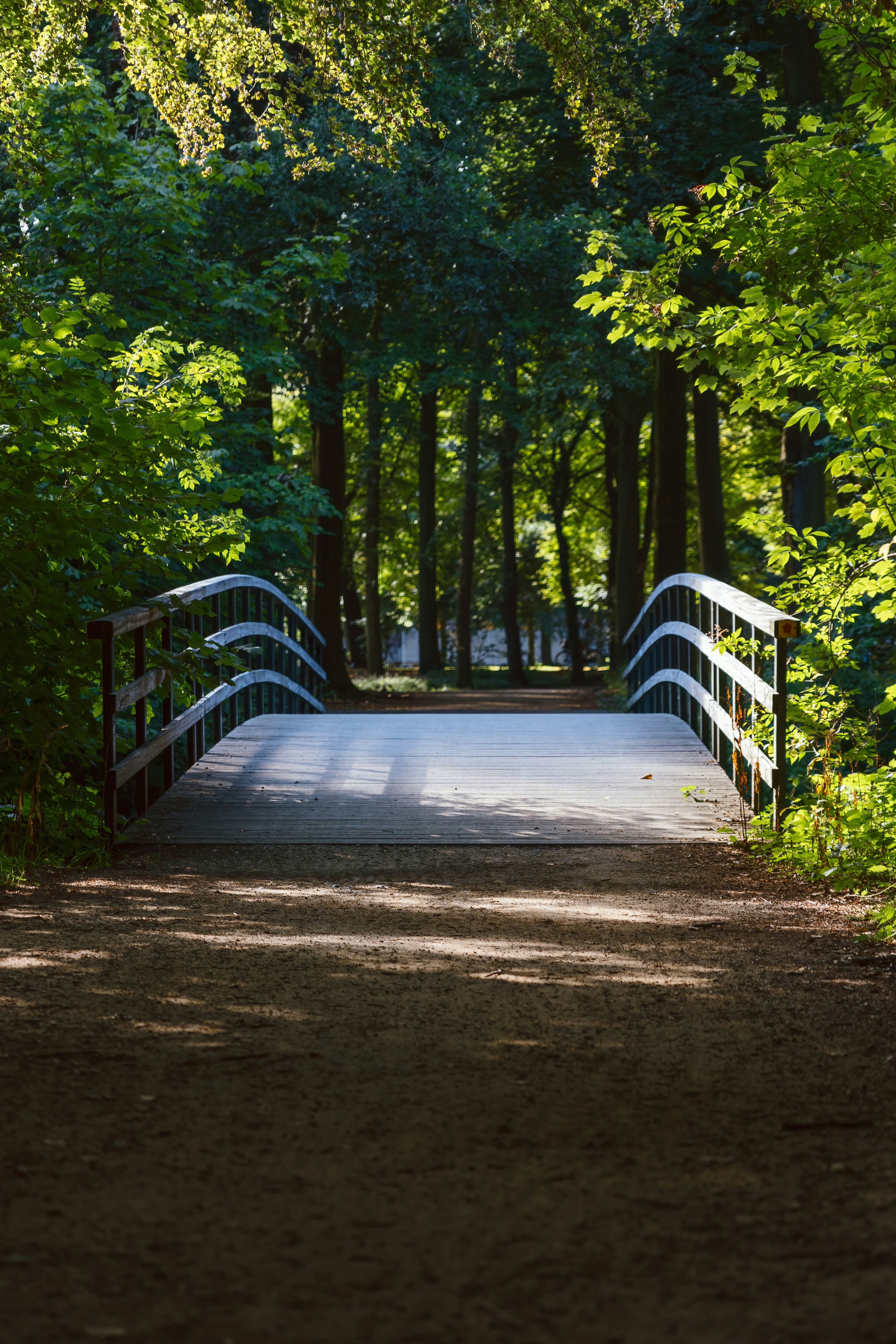 Un pont au milieu d’une zone boisée photo – Photo La Haye Gratuite sur ...