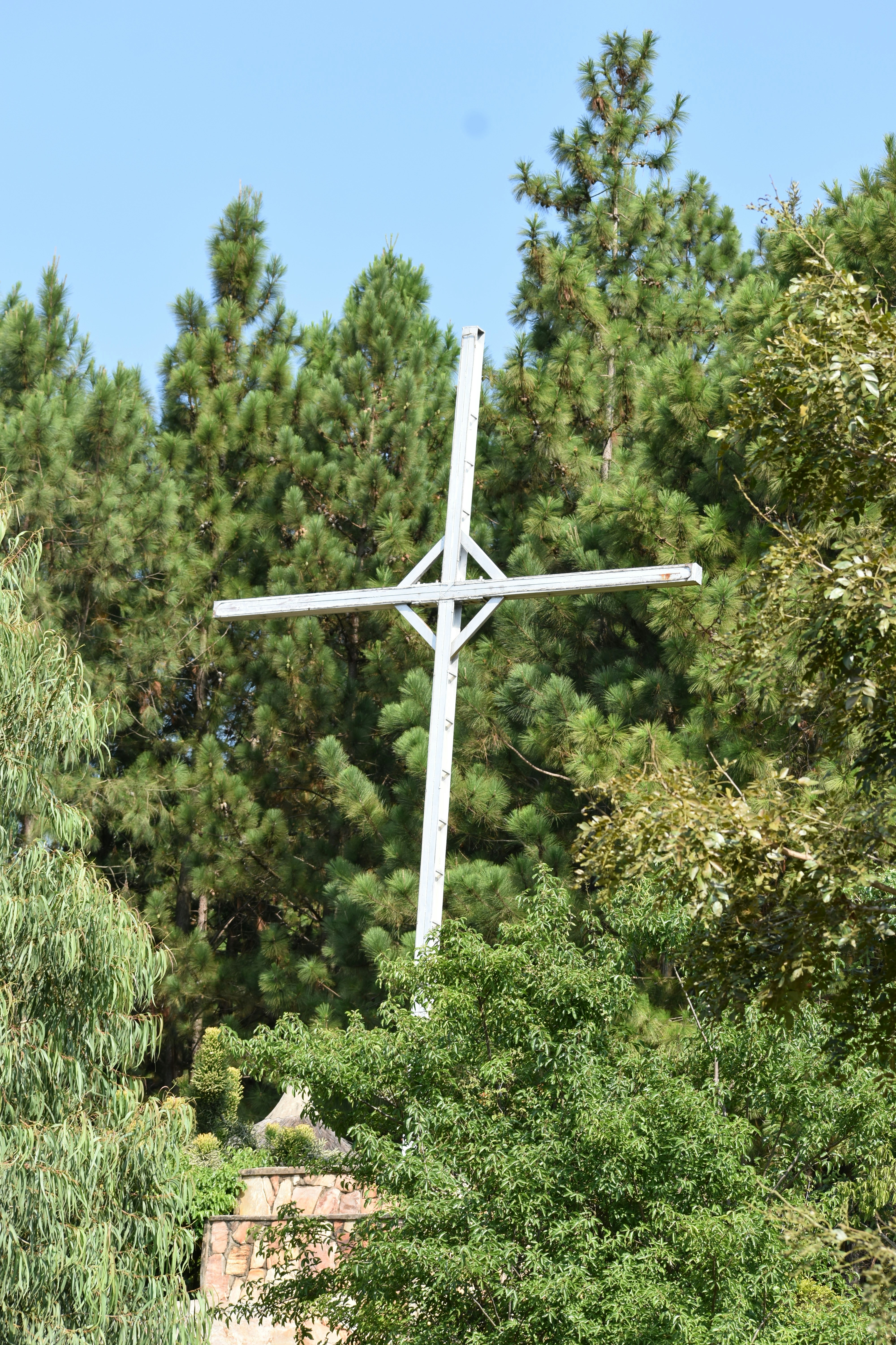 White Cross Among Conifers: A Quiet Monument Beside the Pines
