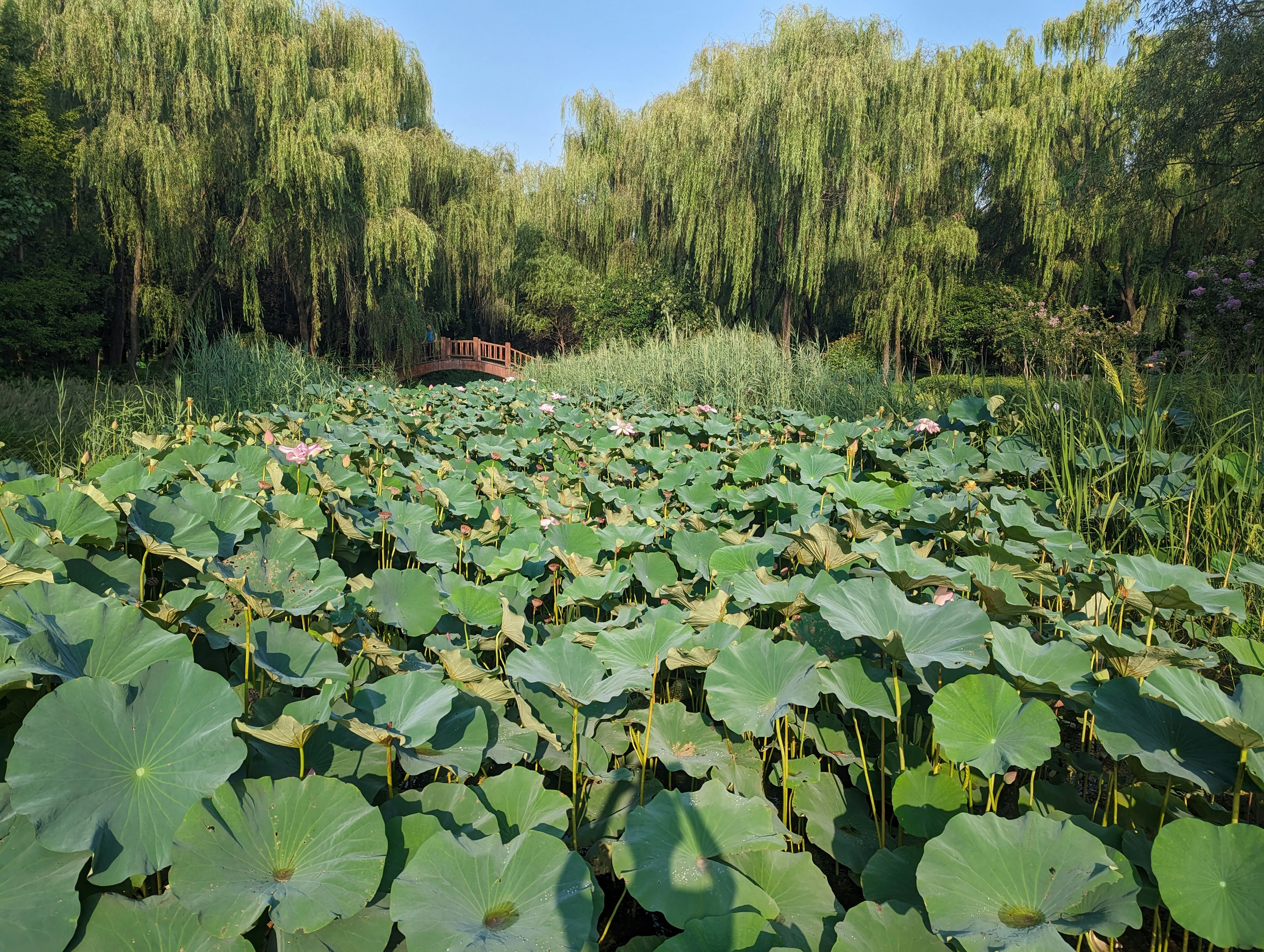 Photo by wtu 257 with Google Pixel 7 Pro