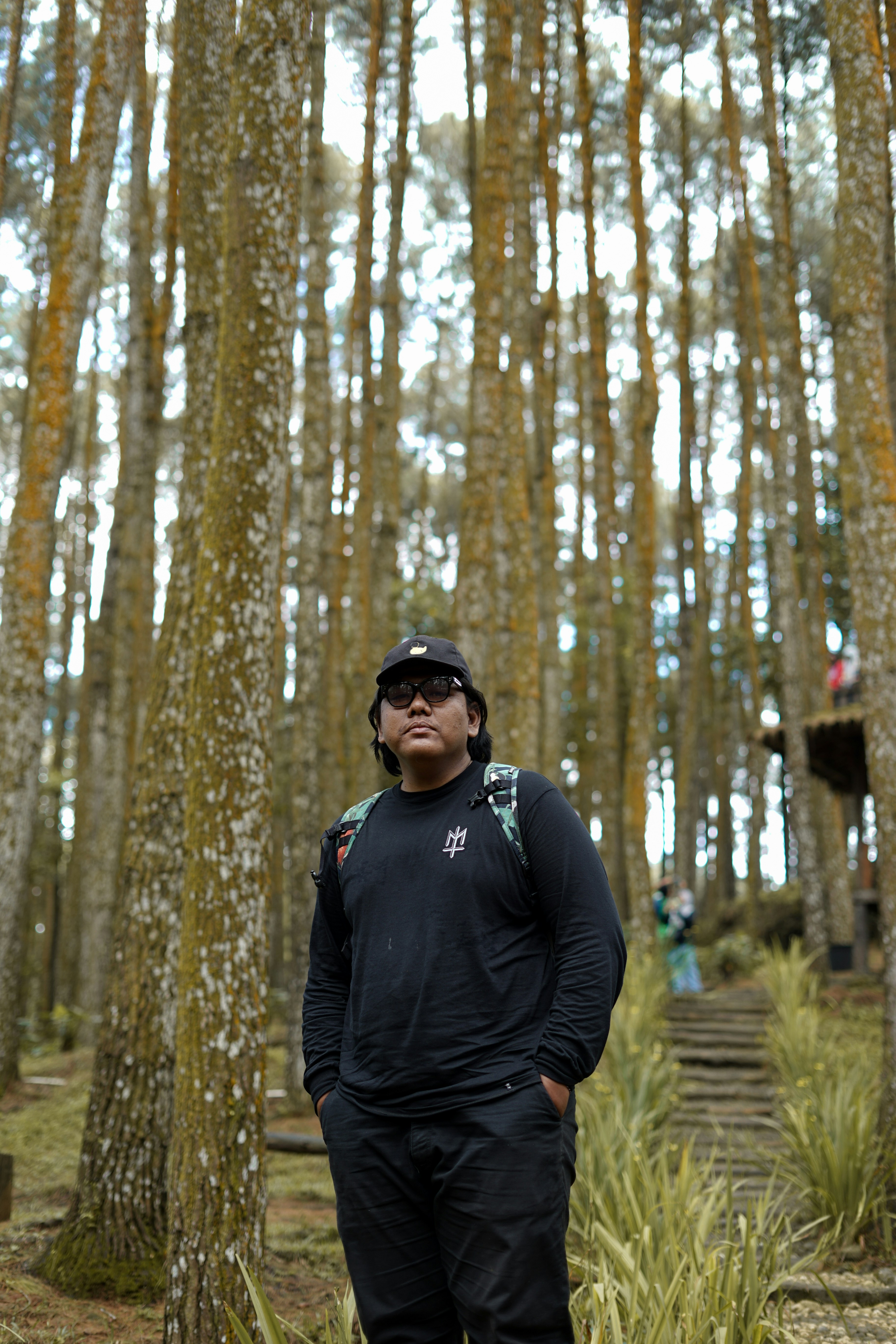 Forest Traveler in Shadowed Pines