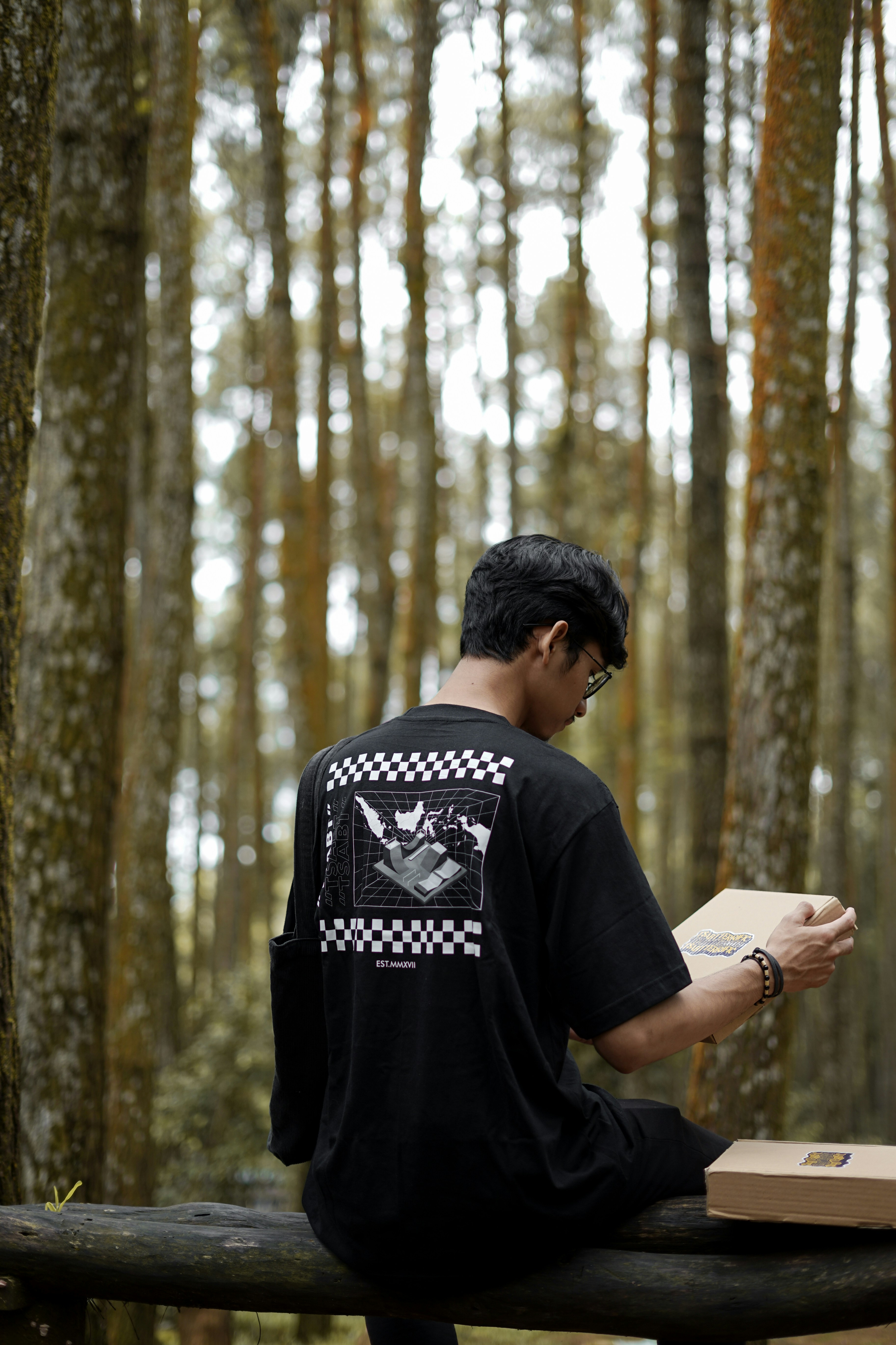 Between Pines and Pages: A Quiet Woodland Study
