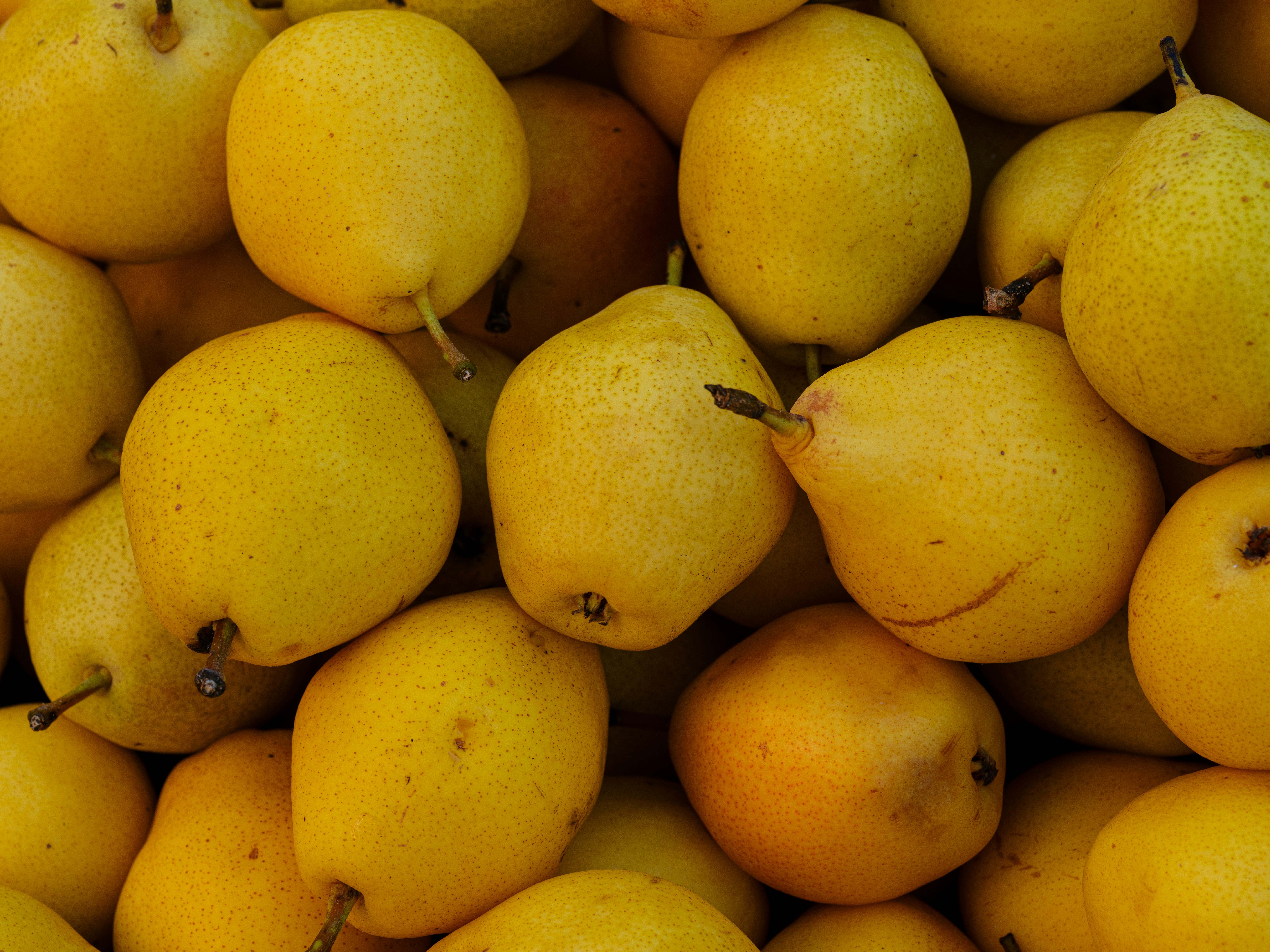 A pile of yellow pears sitting next to each other photo – Free Food ...