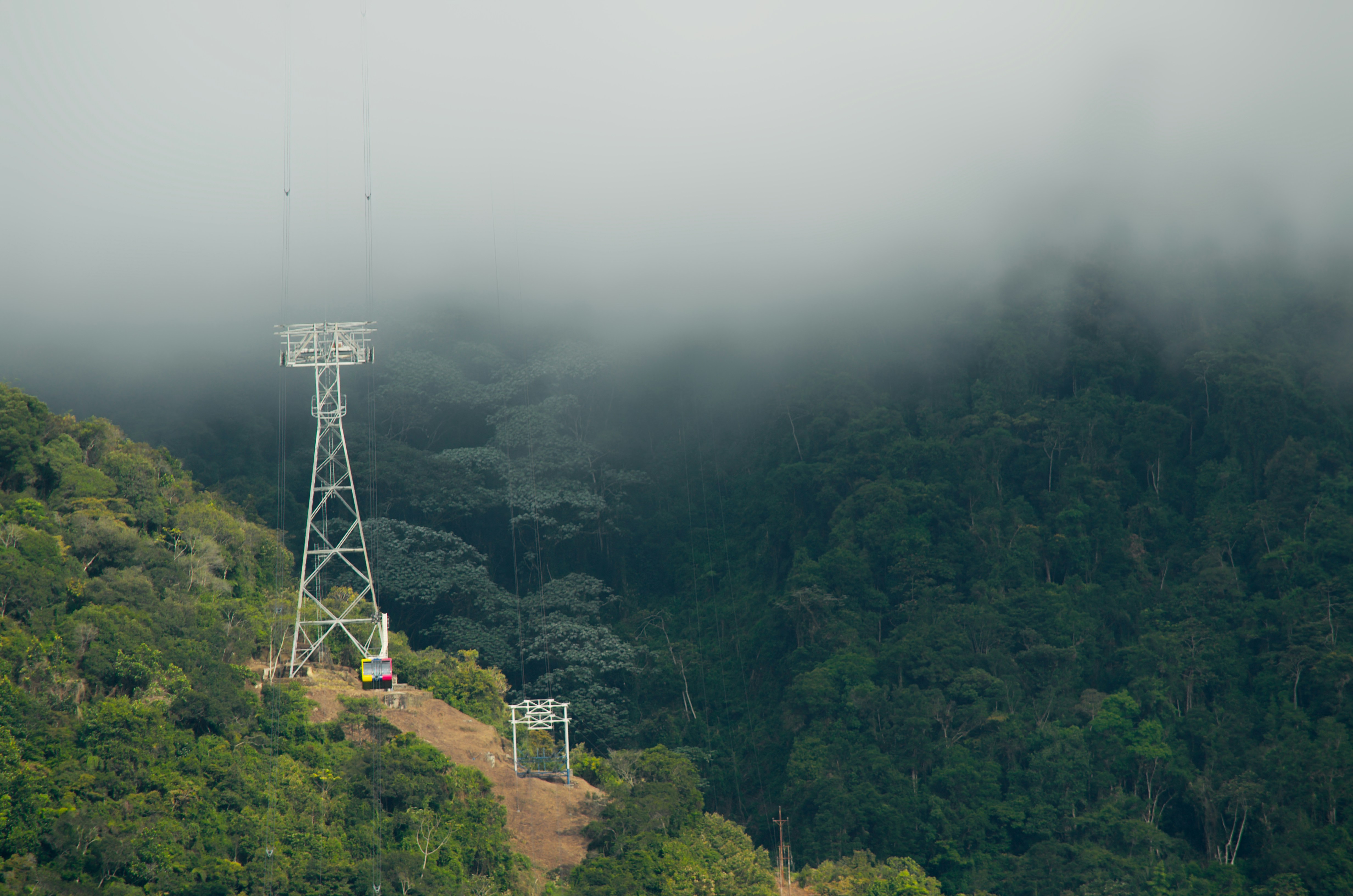 A view of a power line in the middle of a forest photo – Free Mérida ...